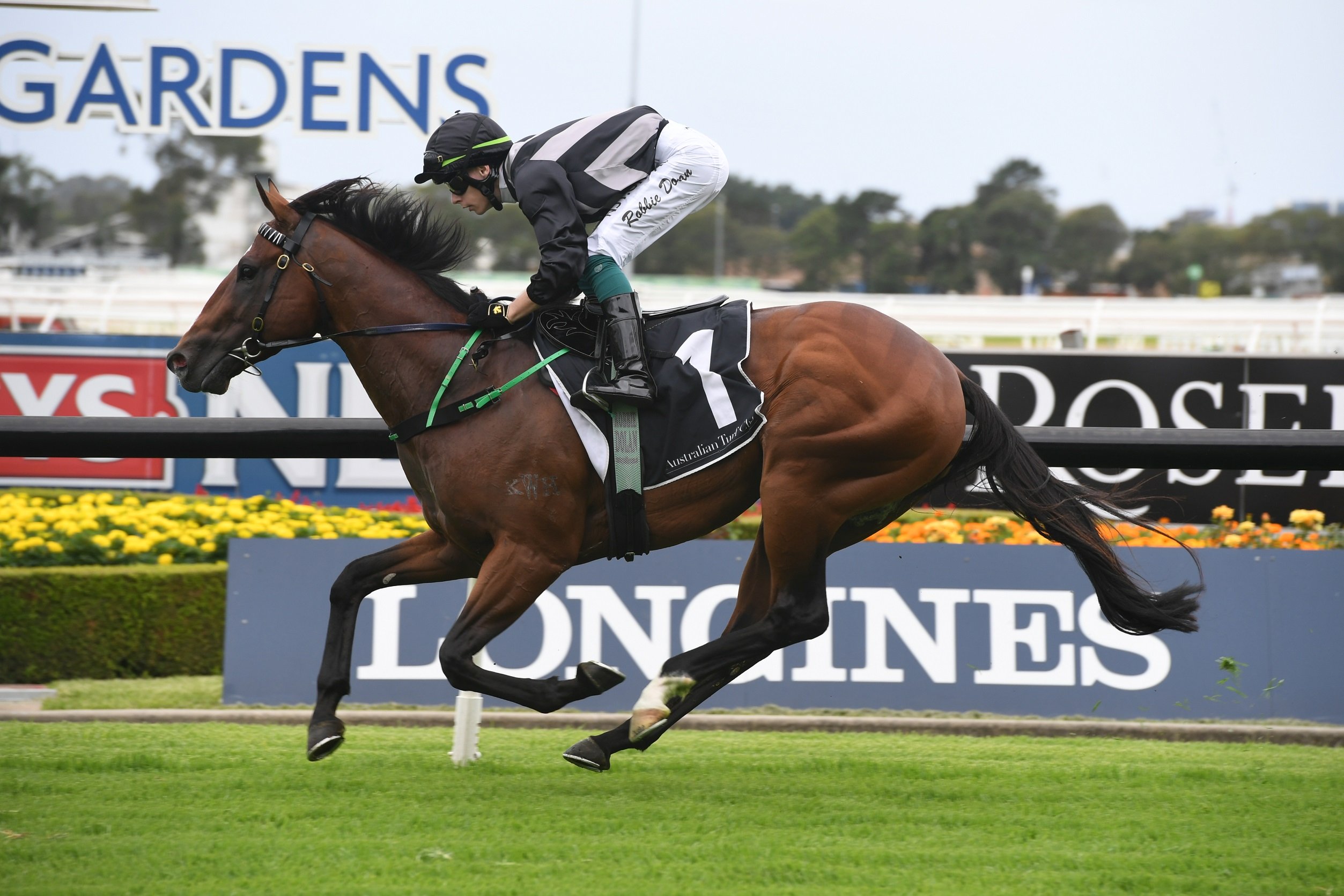 Splintex earns shot at Listed Fireball Stakes | Sports News Australia