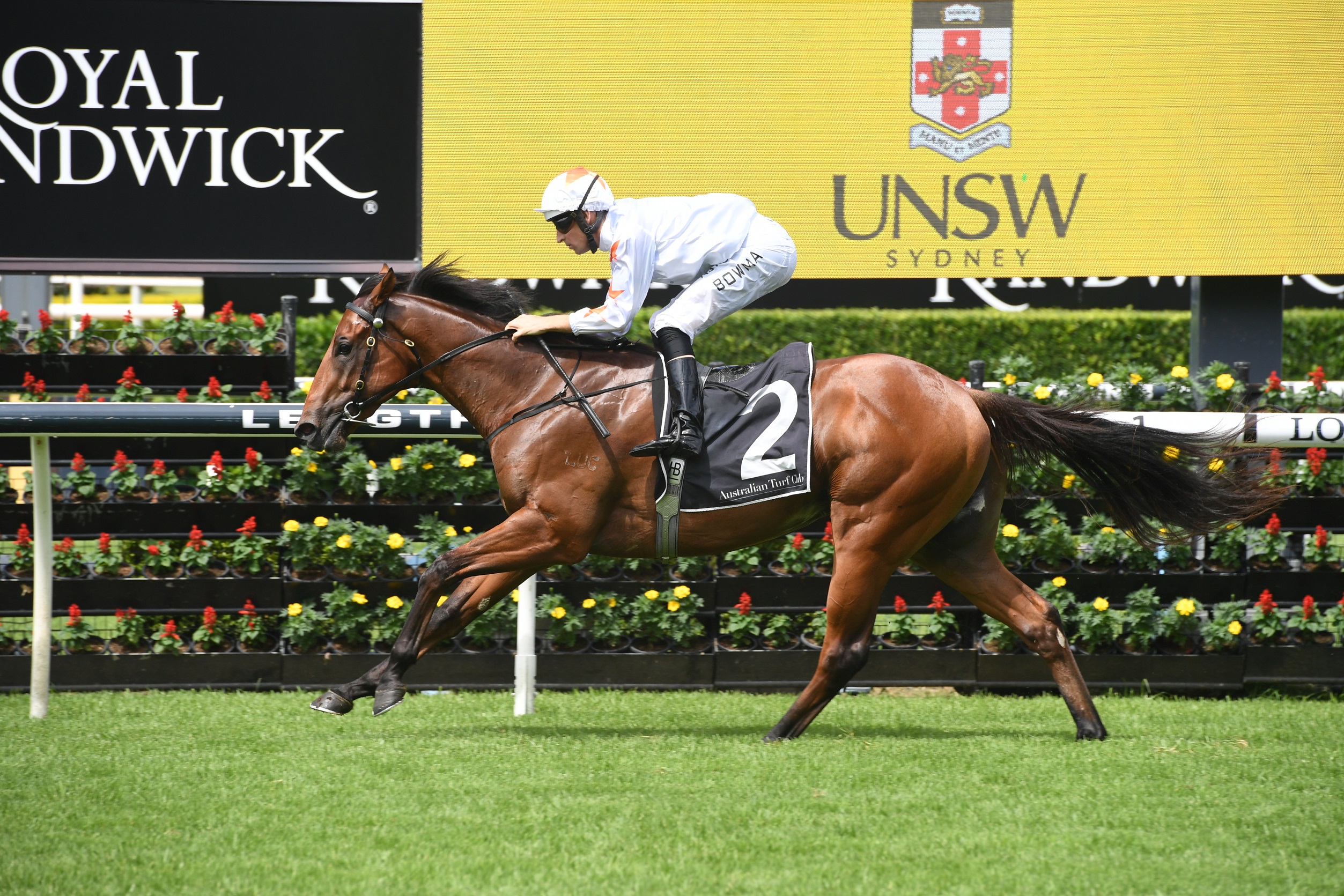 Farnan on song for 2020 Golden Slipper | Sports News Australia
