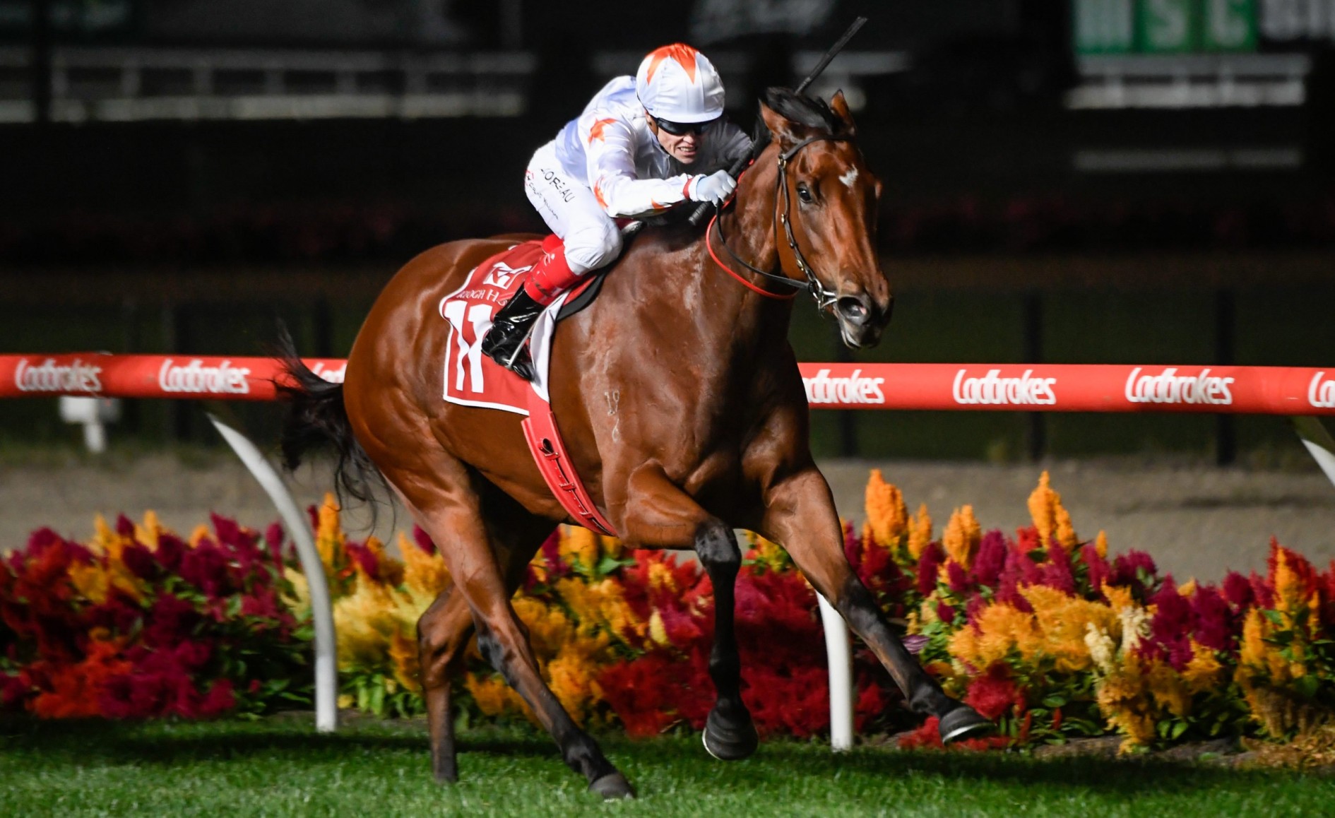 Cox Plate day Tips and Bets – Moonee Valley Races 24/10/2020 | Sports ...