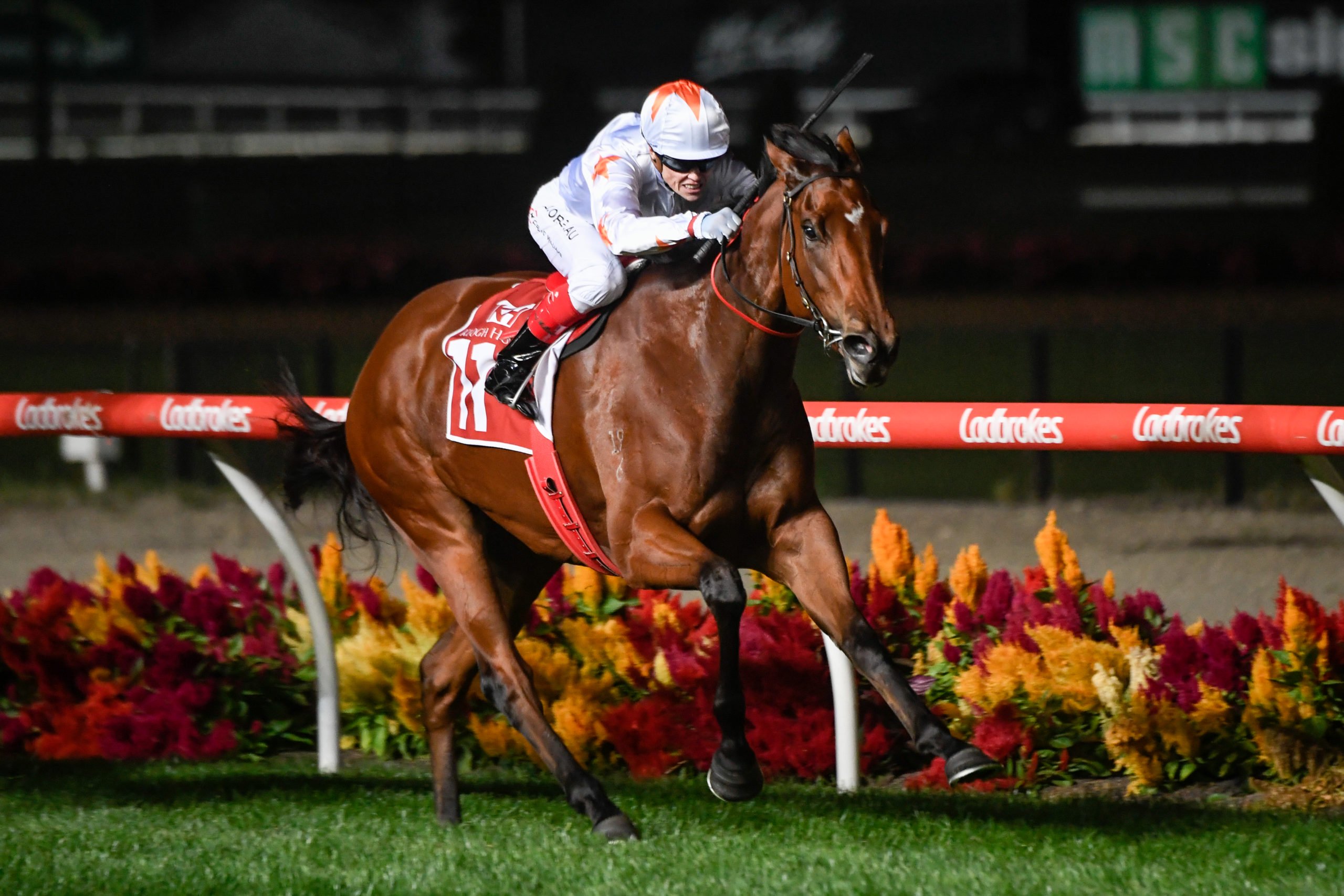 Cox Plate day Tips and Bets – Moonee Valley Races 24/10/2020 | Sports ...