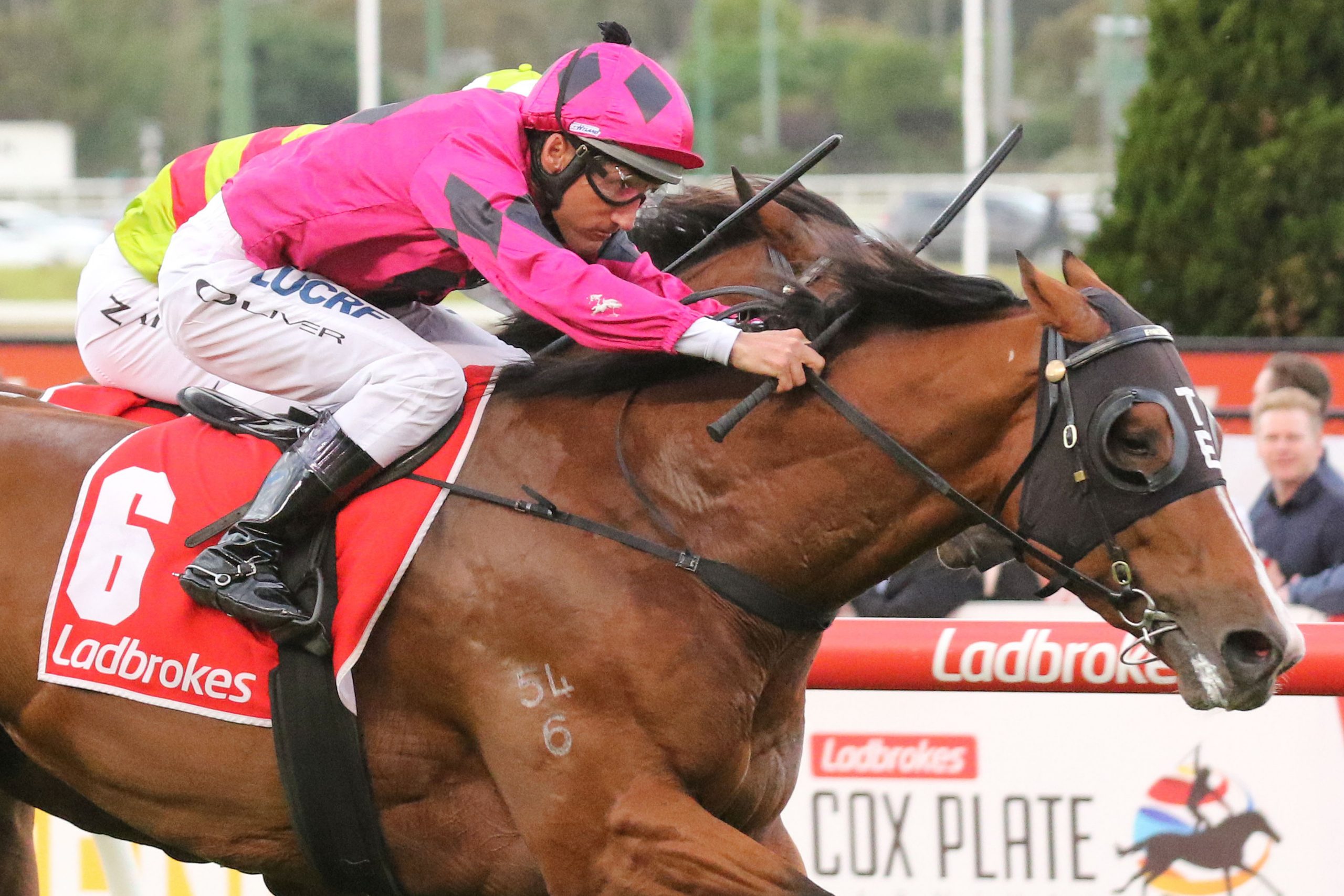 Ruuca to head to the Darby Munro Stakes | Sports News Australia