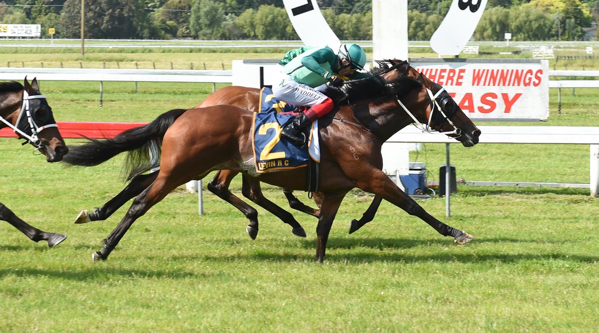 NZ Derby placegetter Sydney-bound | Sports News Australia