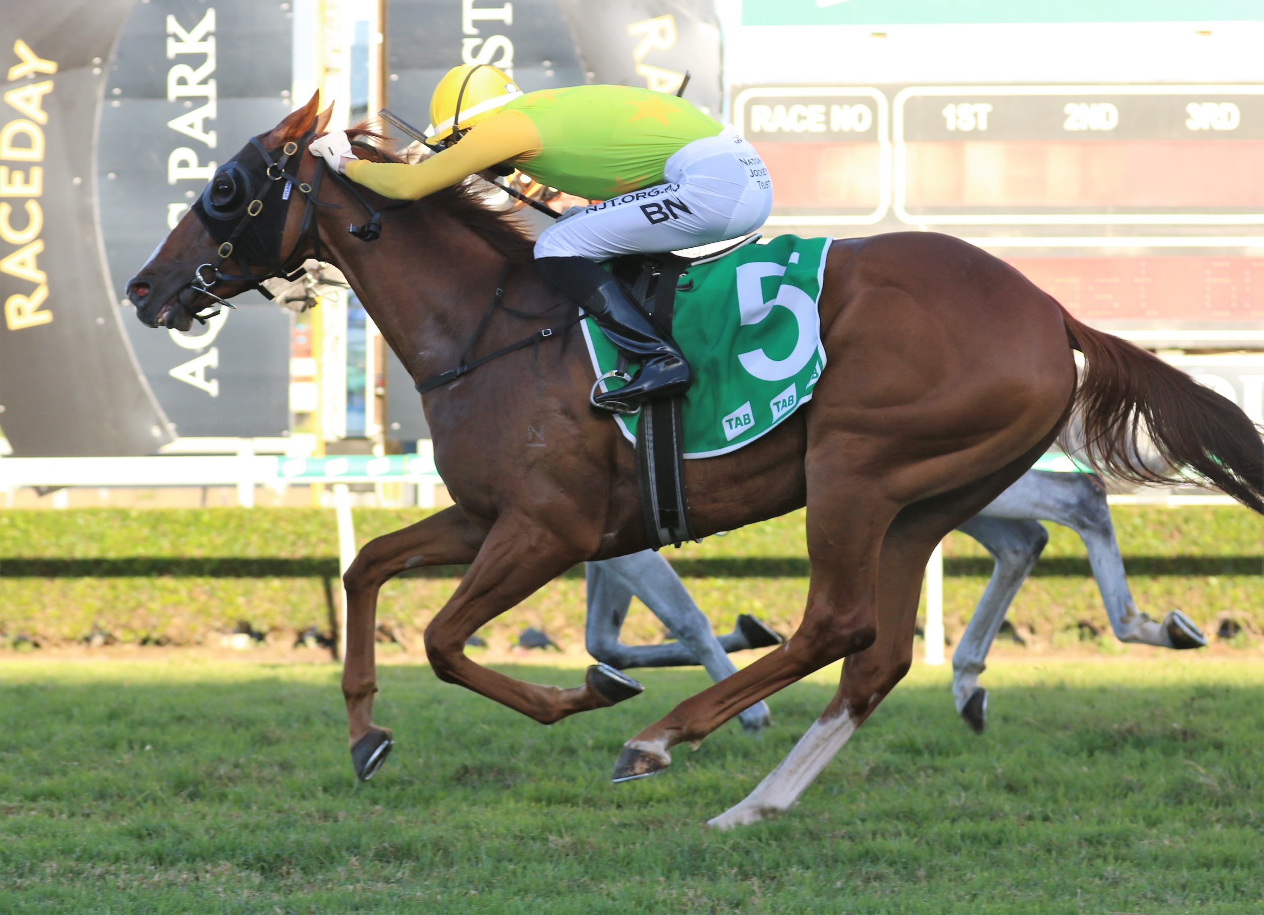 Snitch wins the Goldmarket Handicap at Gold Coast | Sports News Australia