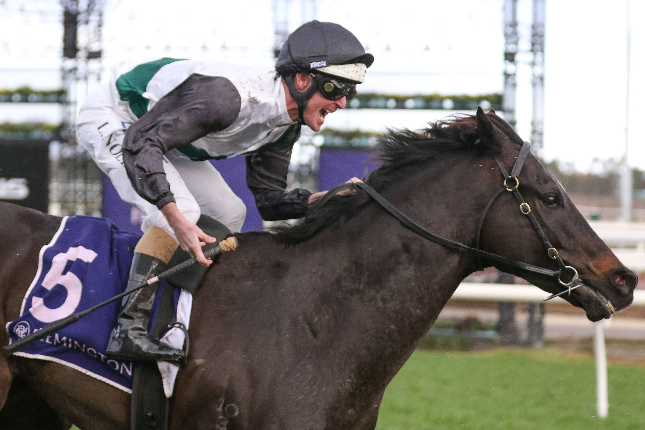 So Si Bon up for the challenge in $5m All Star Mile | Sports News Australia