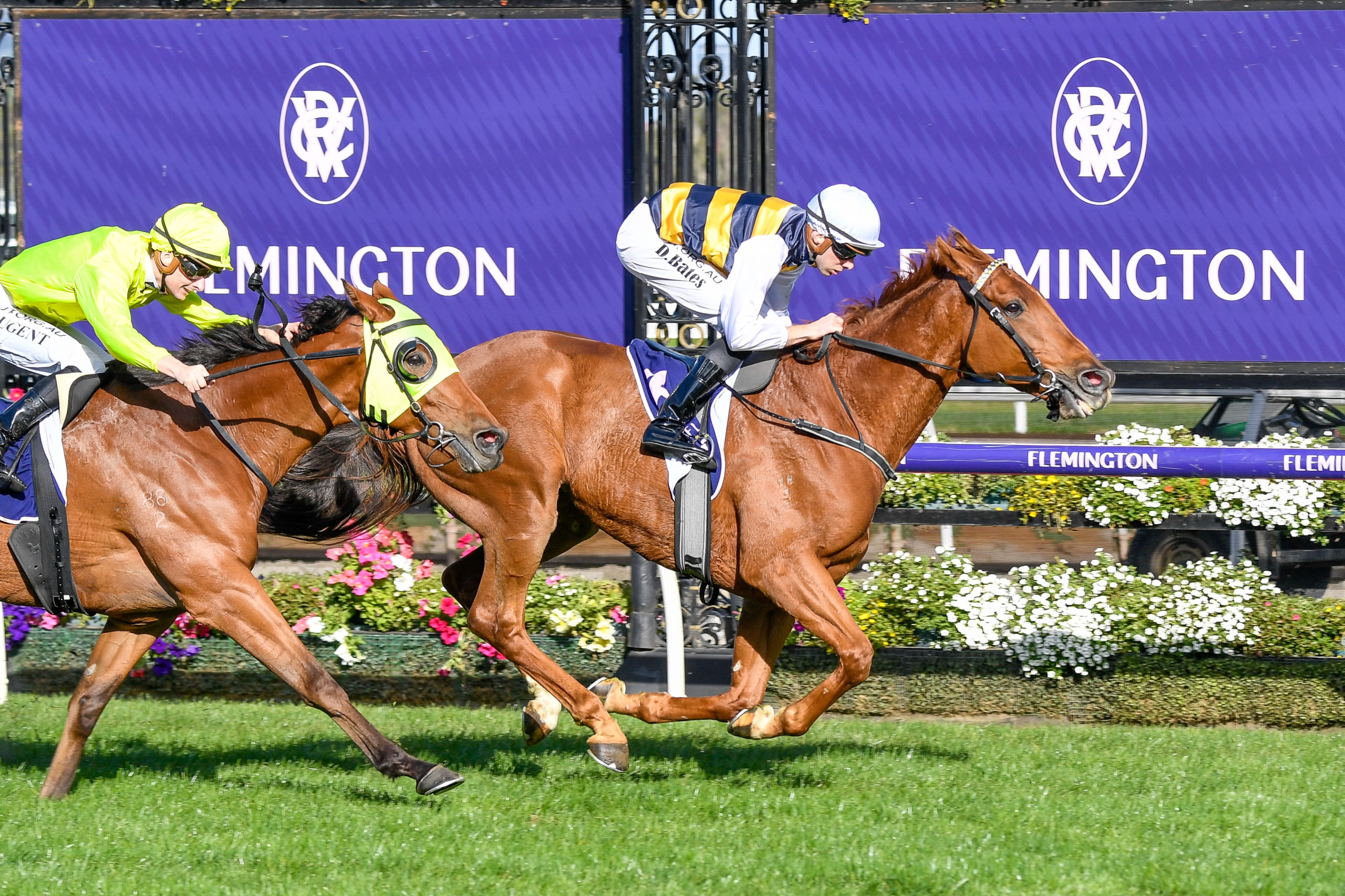 Haky beats Melbourne Cup winner at Flemington | Sports News Australia