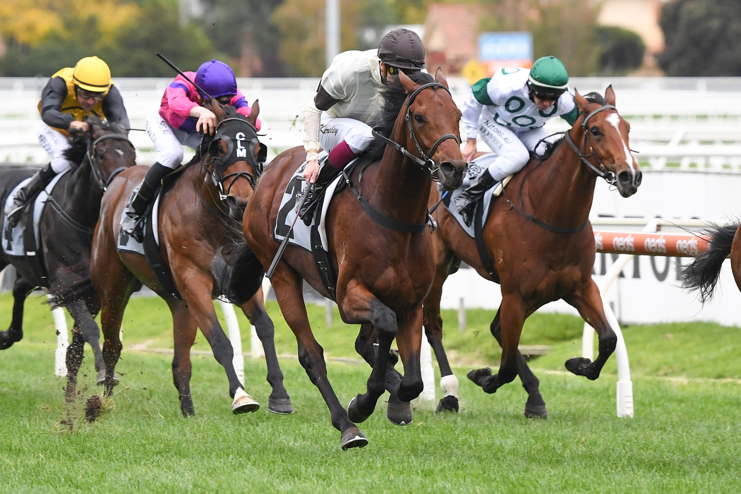 Khoekhoe wins the $855,000 The Showdown at Caulfield | Sports News ...