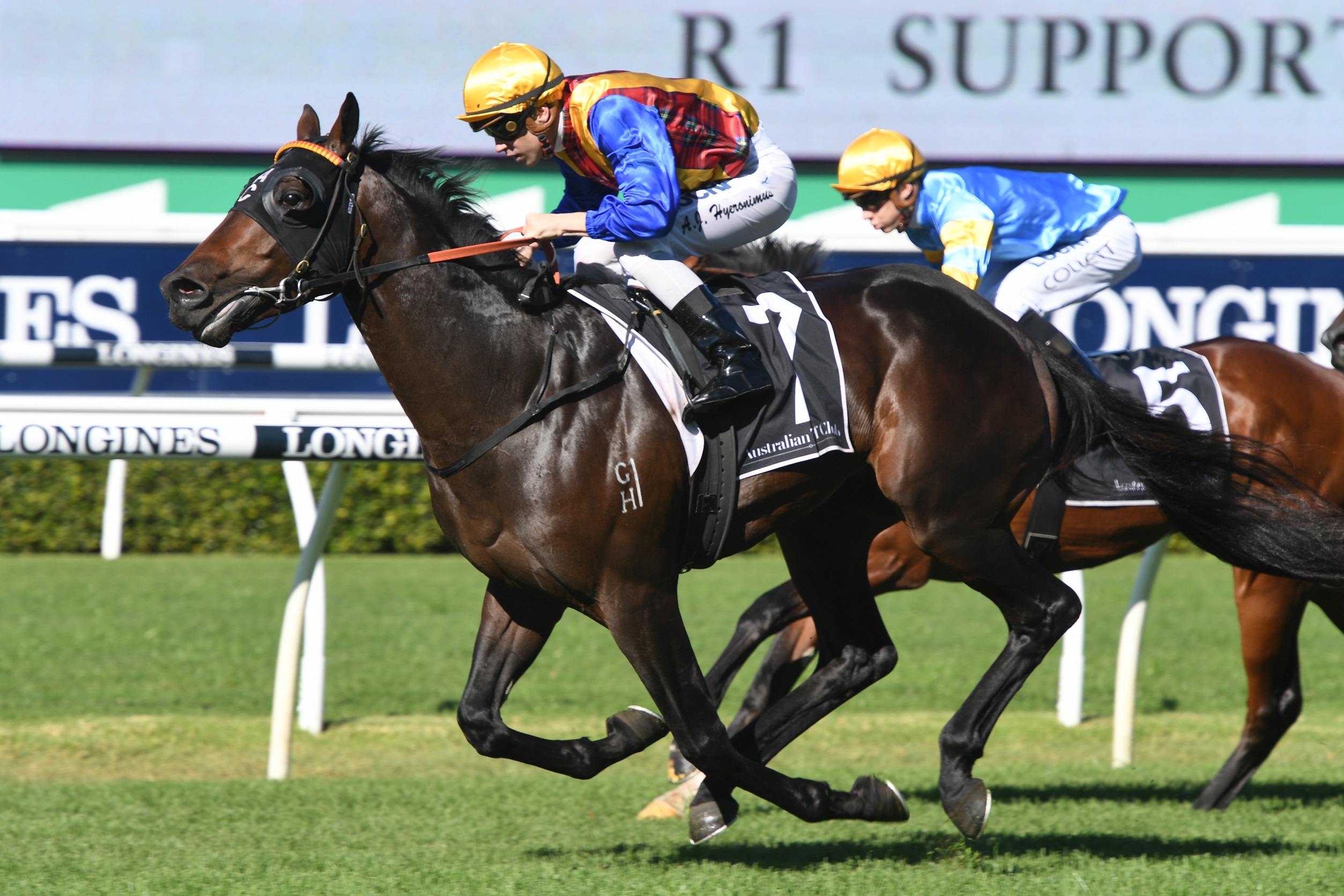 Anthony Cummings after a Doncaster Mile | Sports News Australia