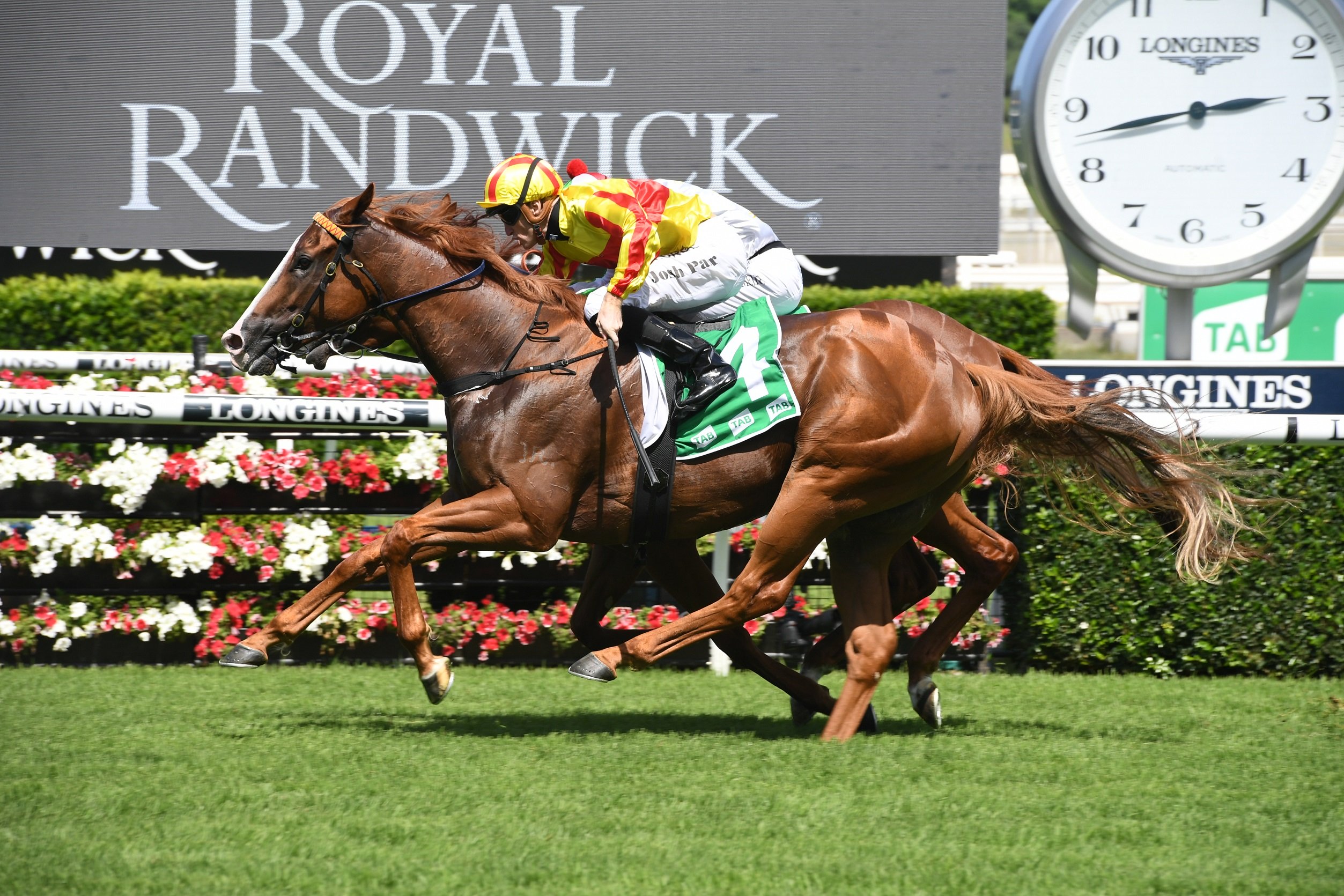 Quackerjack ready for 2020 Doncaster Mile | Sports News Australia