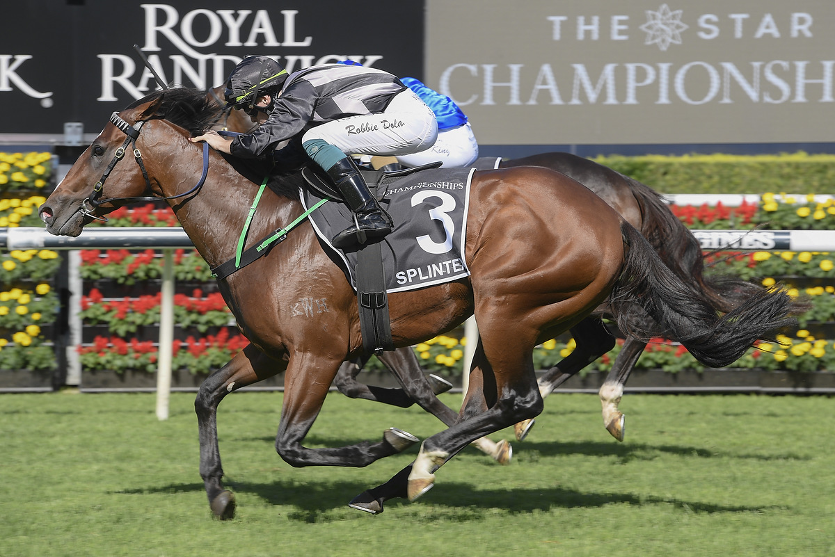 Splintex wins the G2 Arrowfield Sprint | Sports News Australia