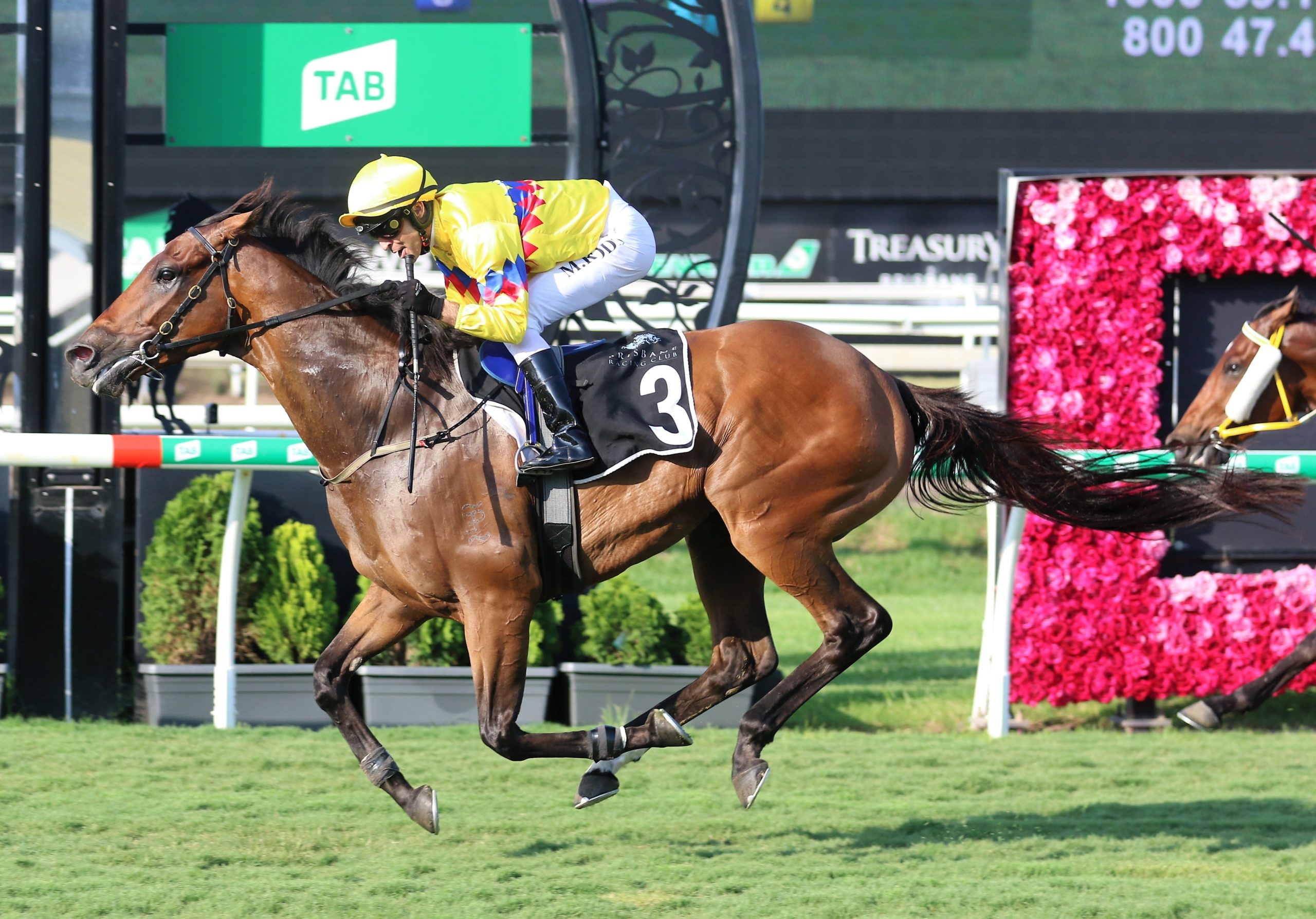 Ballot-free races confirmed for Brisbane's G1 features | Sports News ...