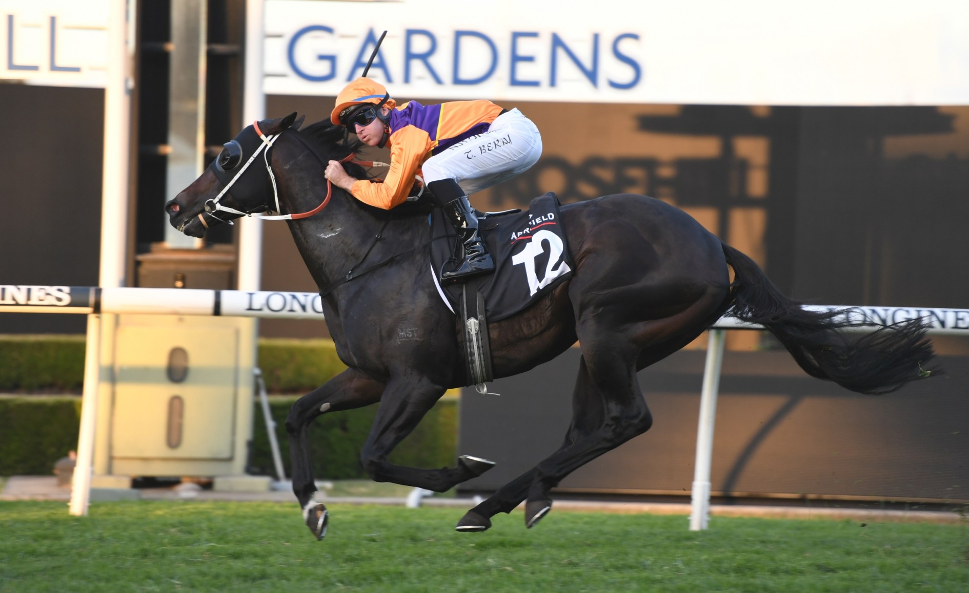 Dirty Work wins the Ortensia Stakes | Sports News Australia