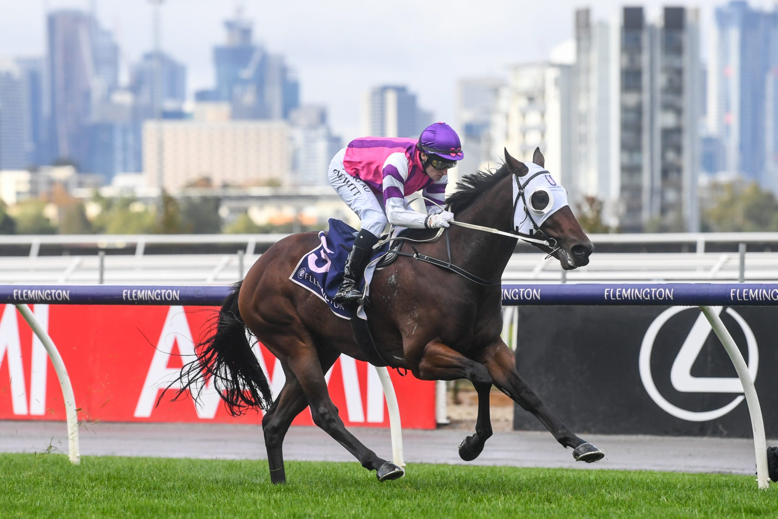 Craig Newitt rides a winner at Flemington | Sports News Australia