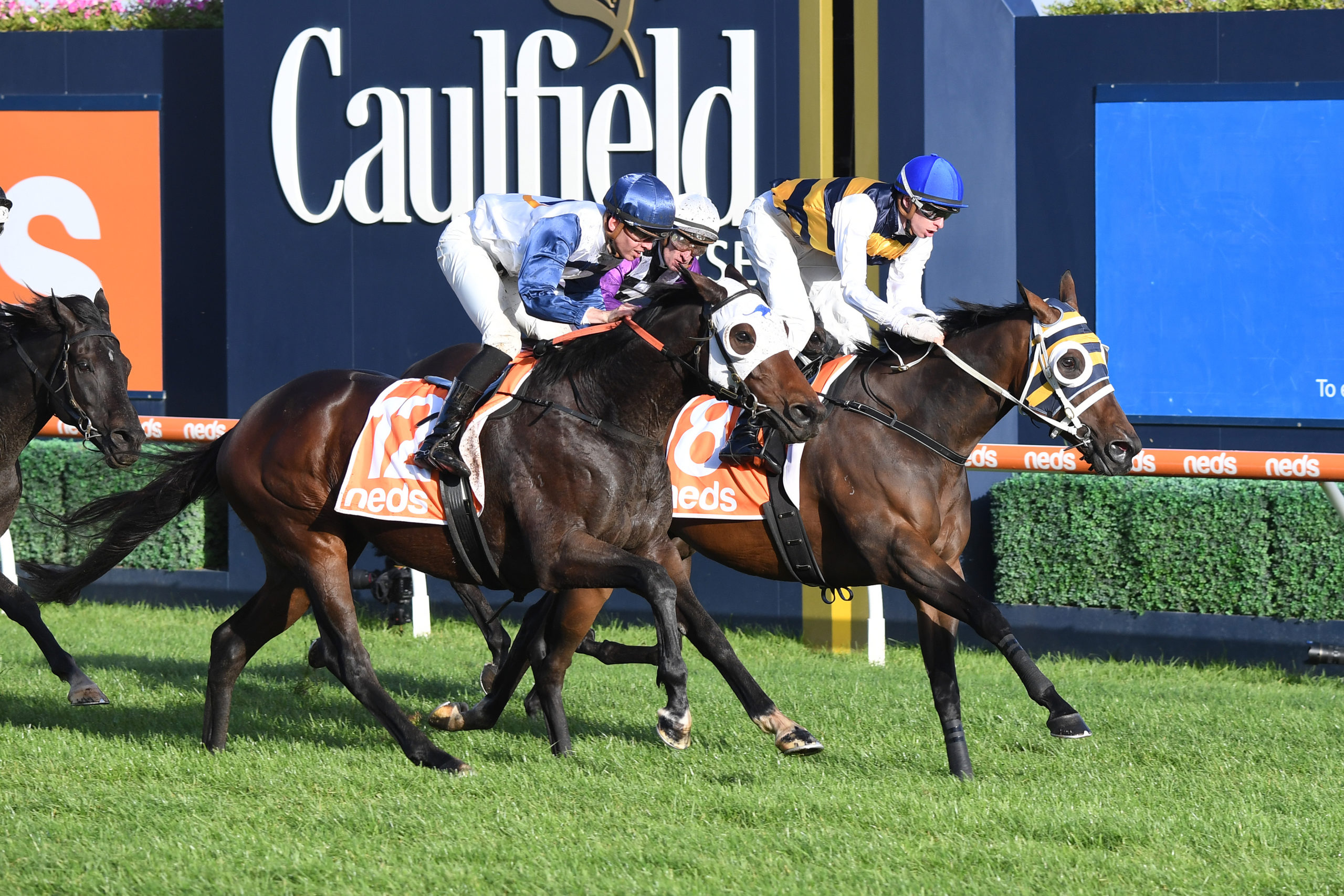 Memsie Stakes day Tips and Bets – Caulfield Races 29/8/2020 | Sports ...