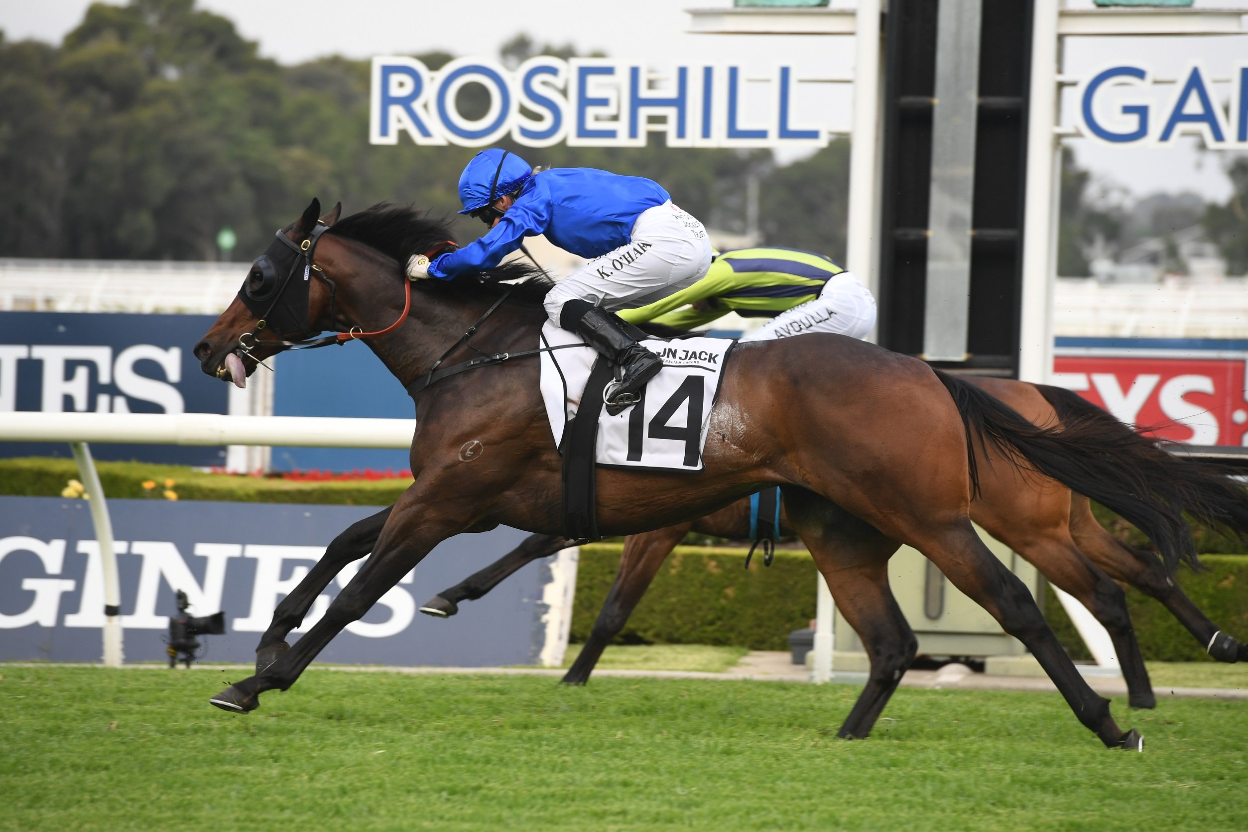 Ranier to step up in the Listed Luskin Star Stakes | Sports News Australia