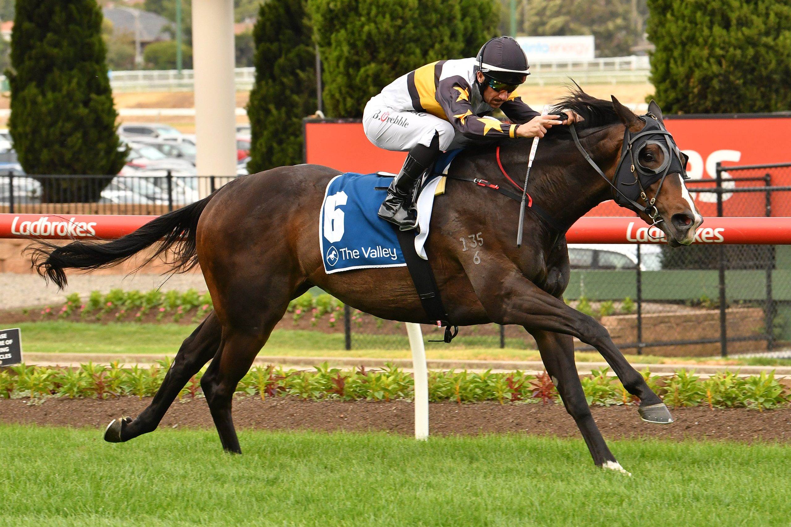 Caulfield Tips and Bets – Caulfield Races 9/5/2020 | Sports News Australia