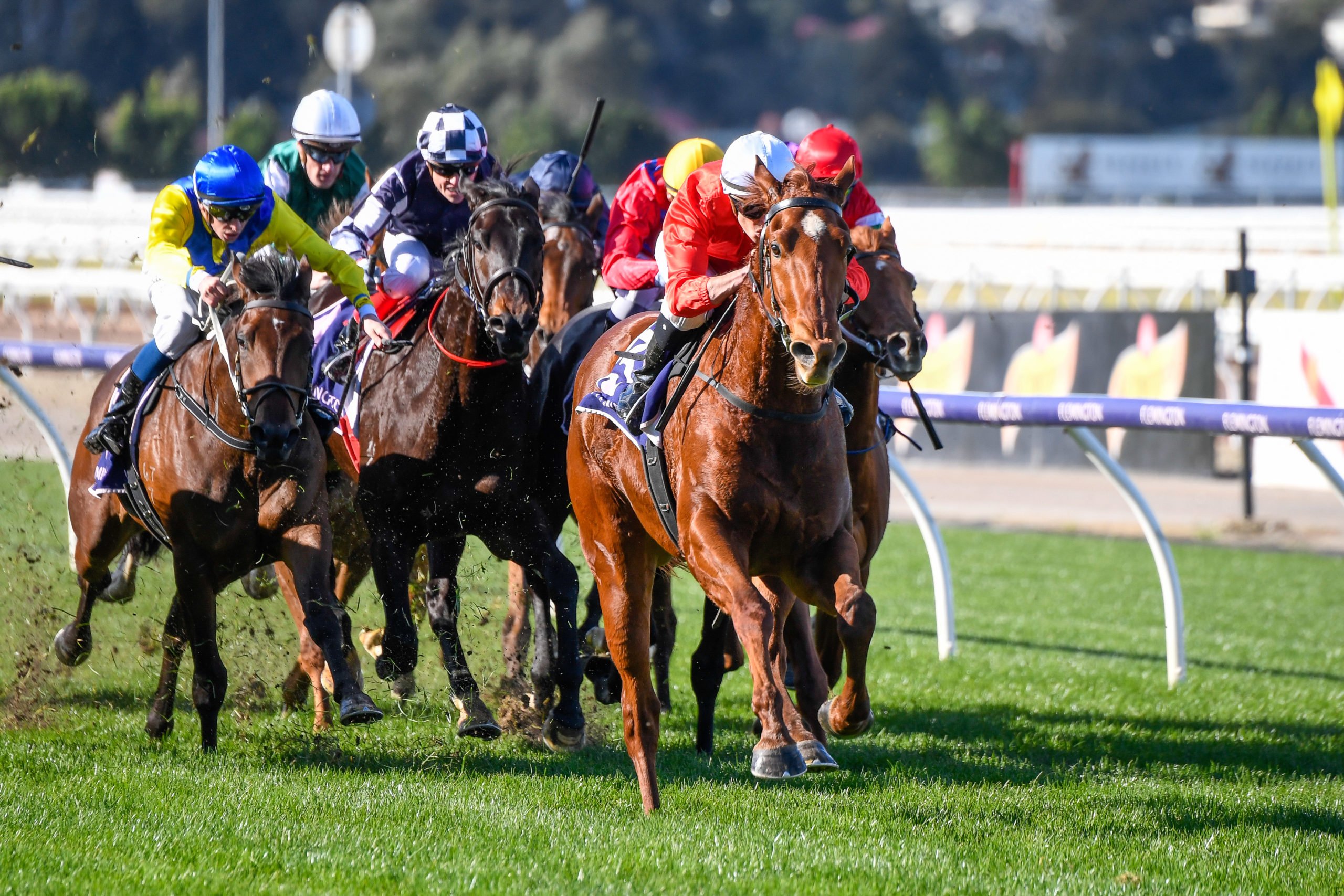 Cherry Tortoni to head to Taj Rossi Series Final | Sports News Australia