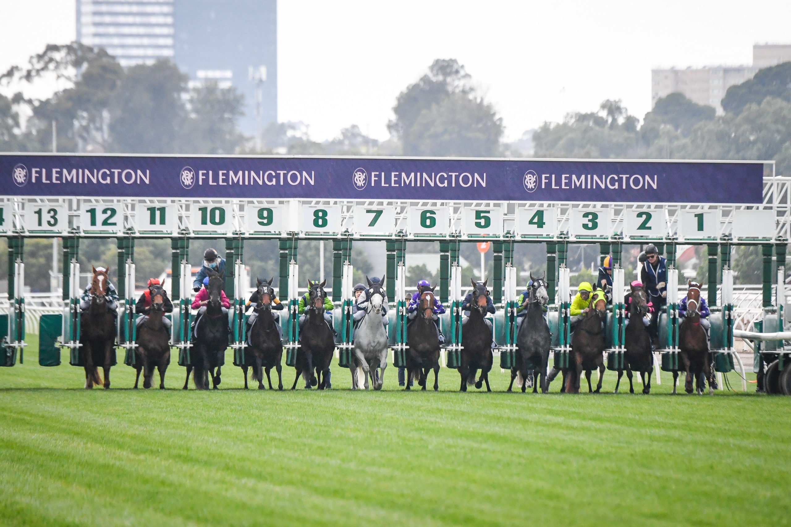 Racing Victoria begins to relax trackwork protocols | Sports News Australia