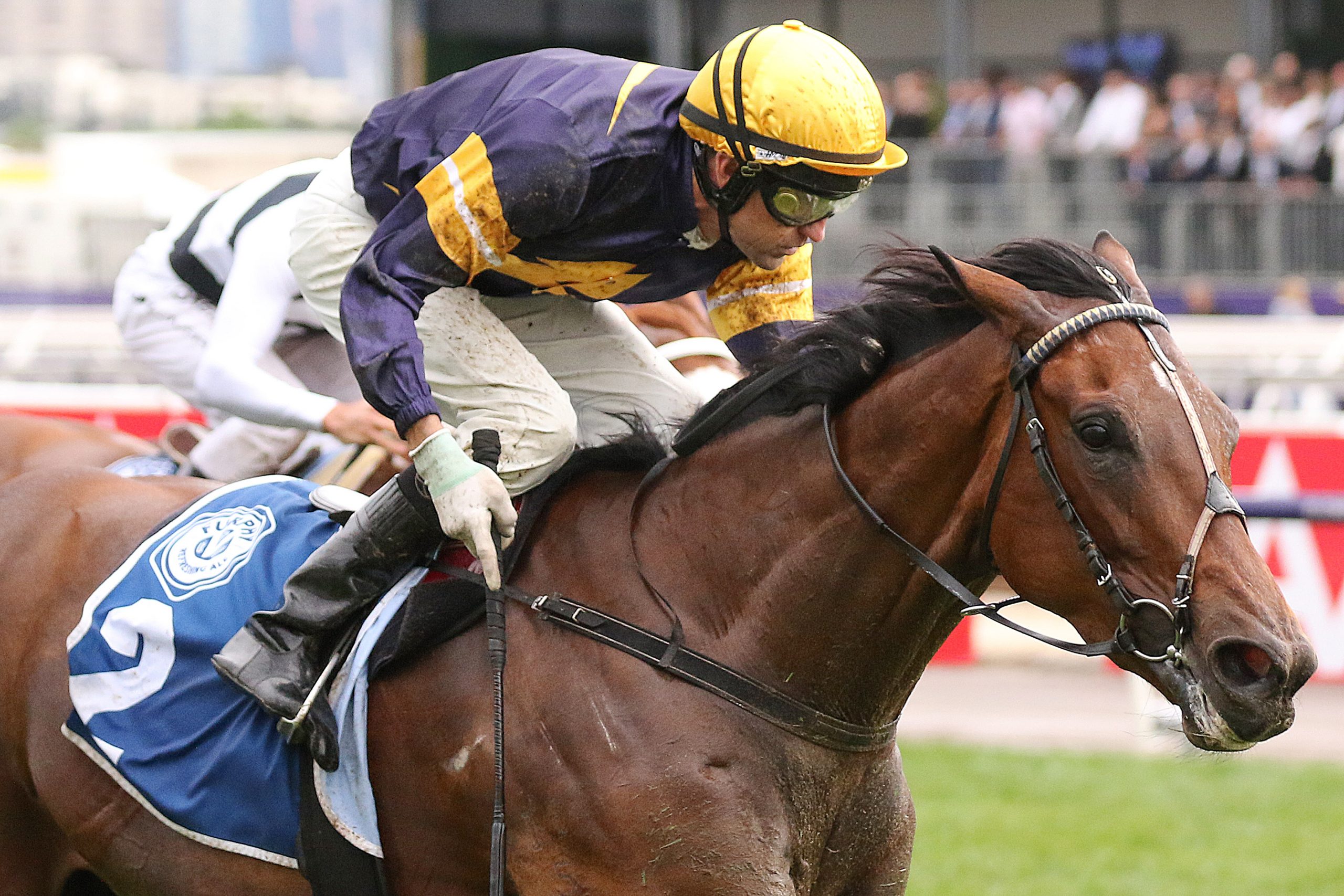 Mike Moroney to welcome back stable stars | Sports News Australia