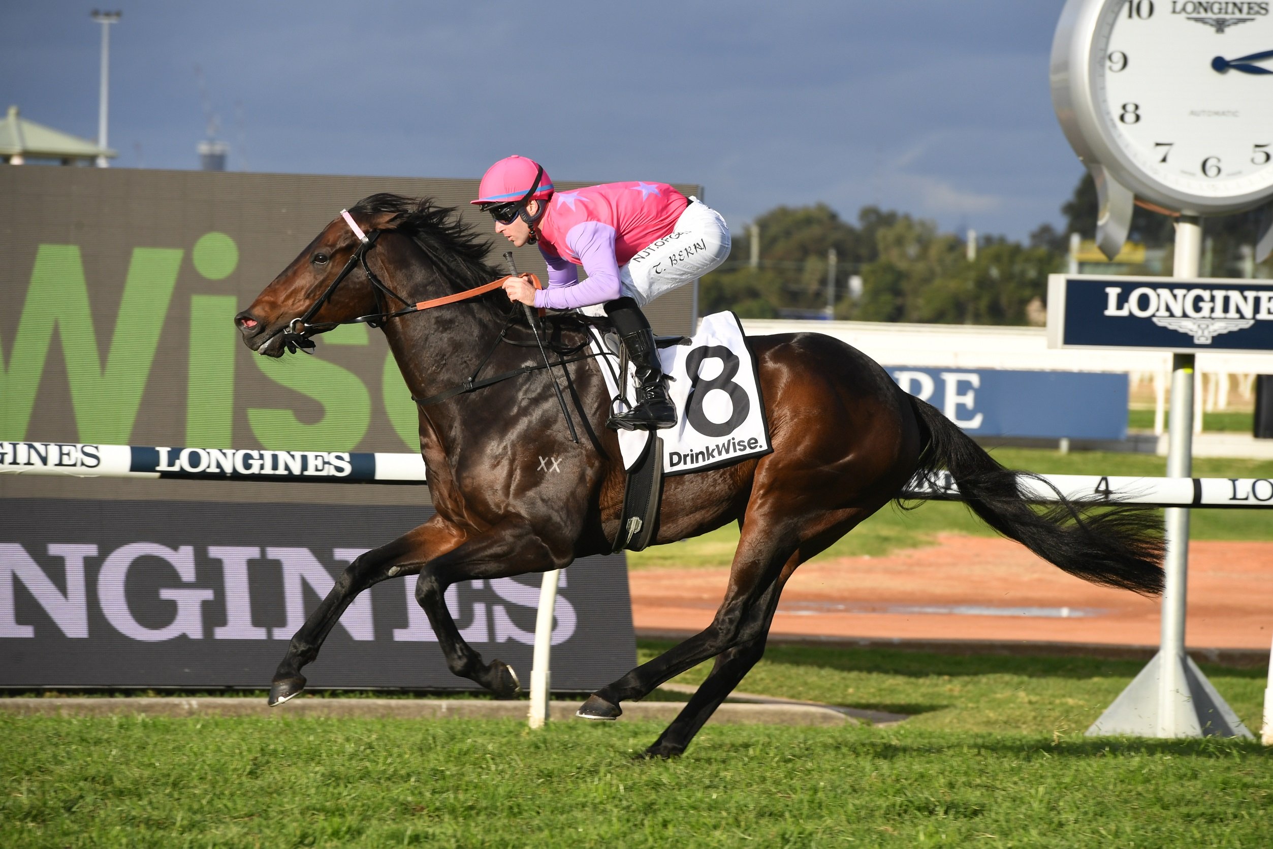 Trumbull puts it all together in the Civic Stakes | Sports News Australia