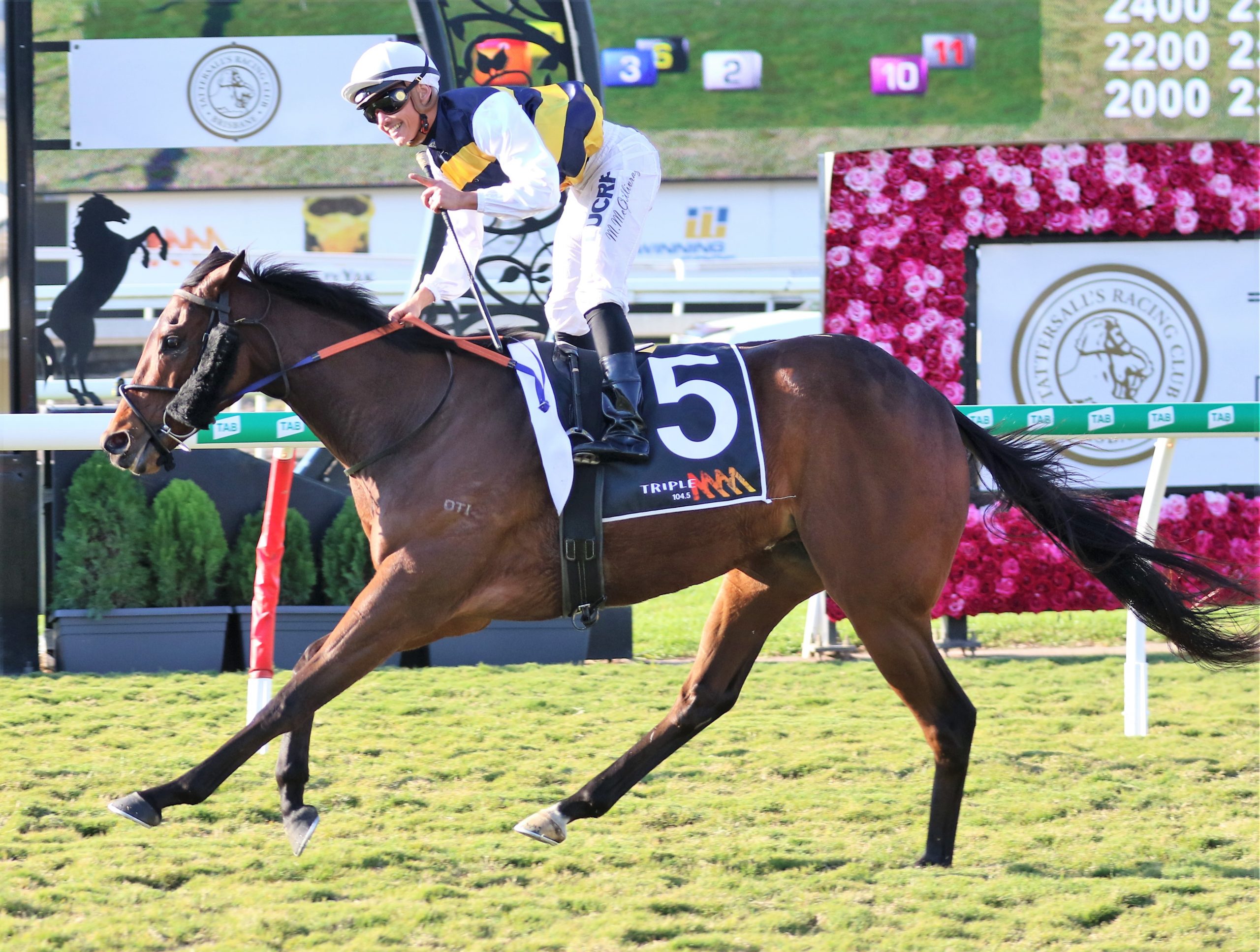 The Queensland Cup returns to its traditional timeslot | Sports News ...