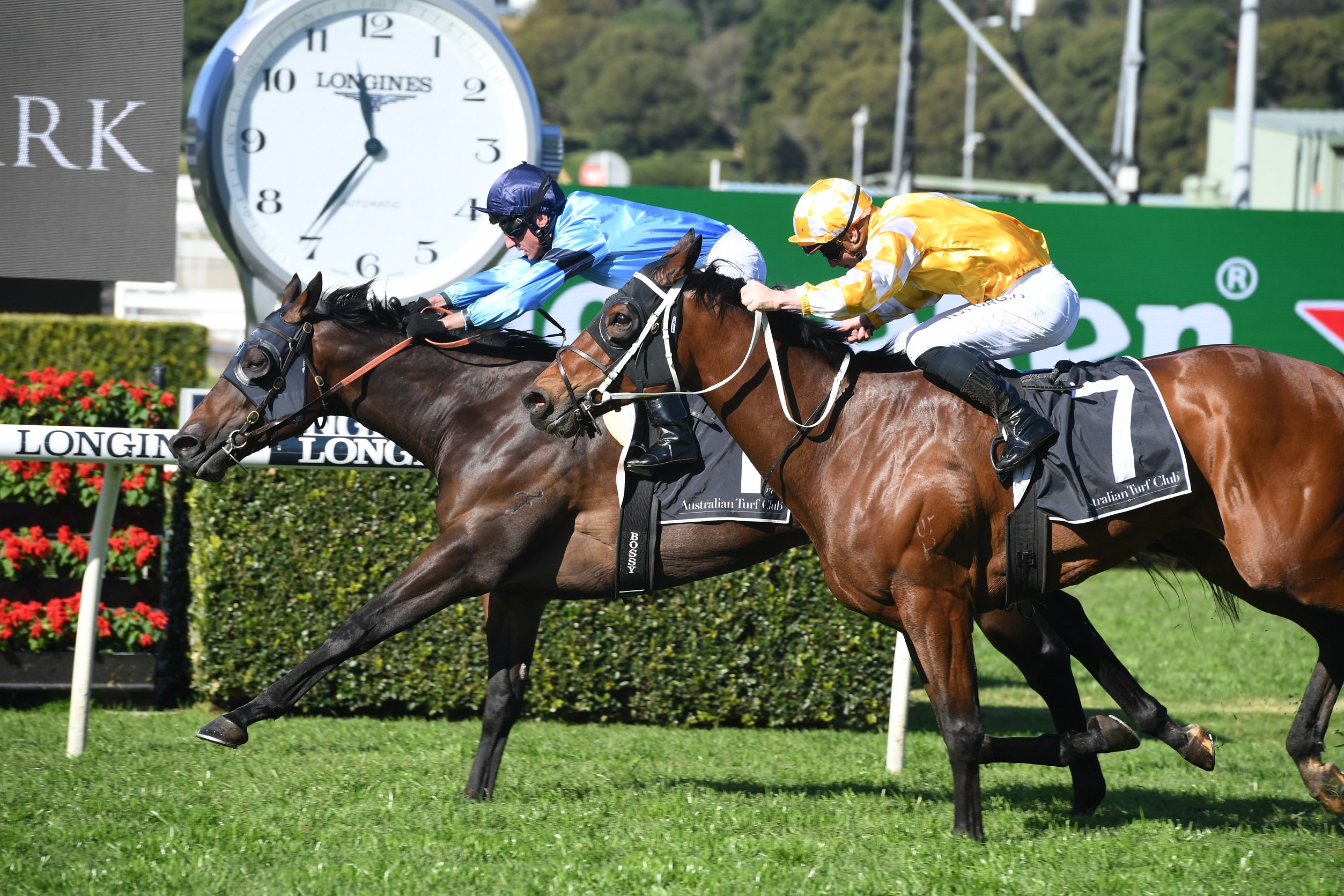 Edison too good in the wet at Randwick | Sports News Australia