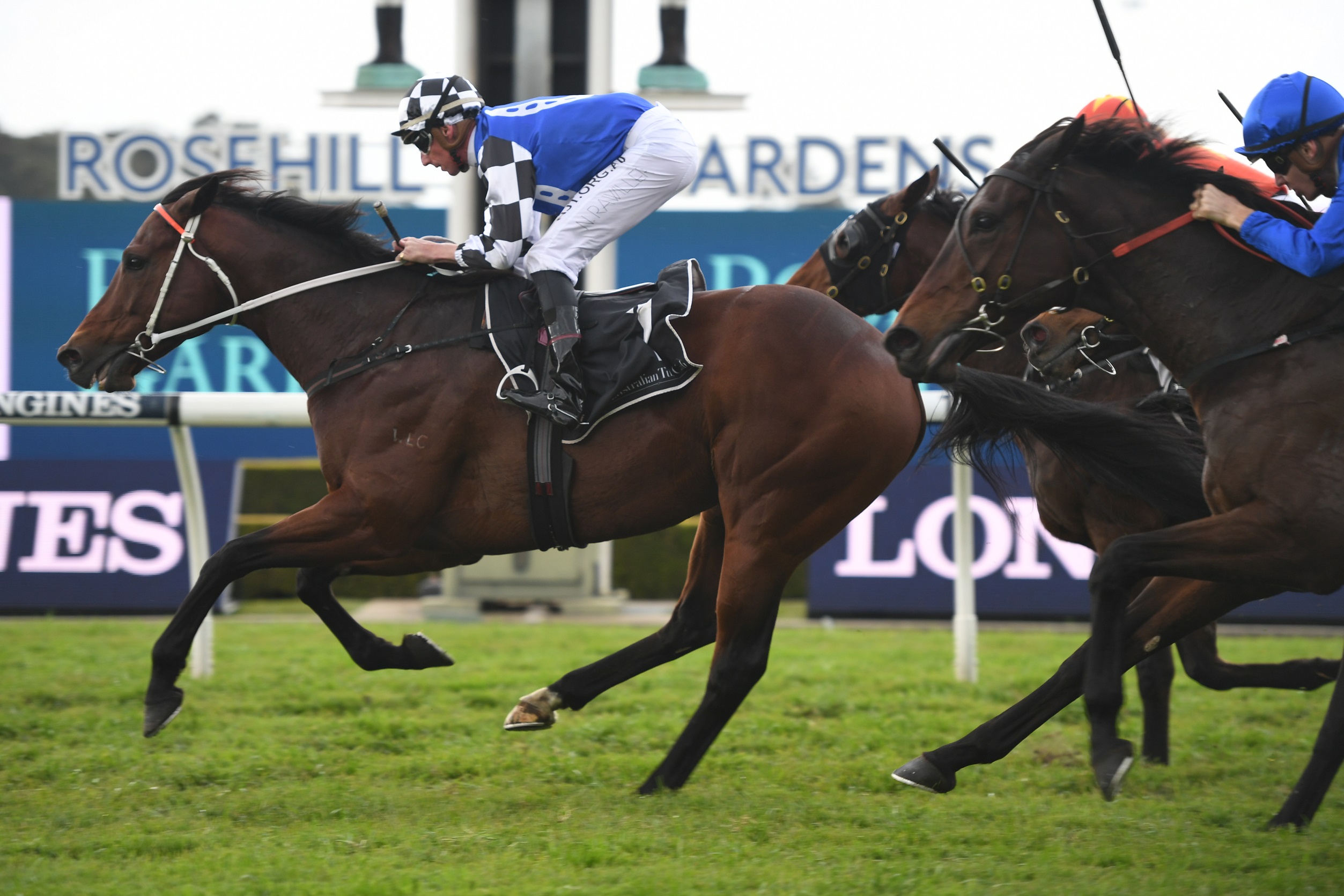 Kris Lees' imports stamp their class at Rosehill | Sports News Australia