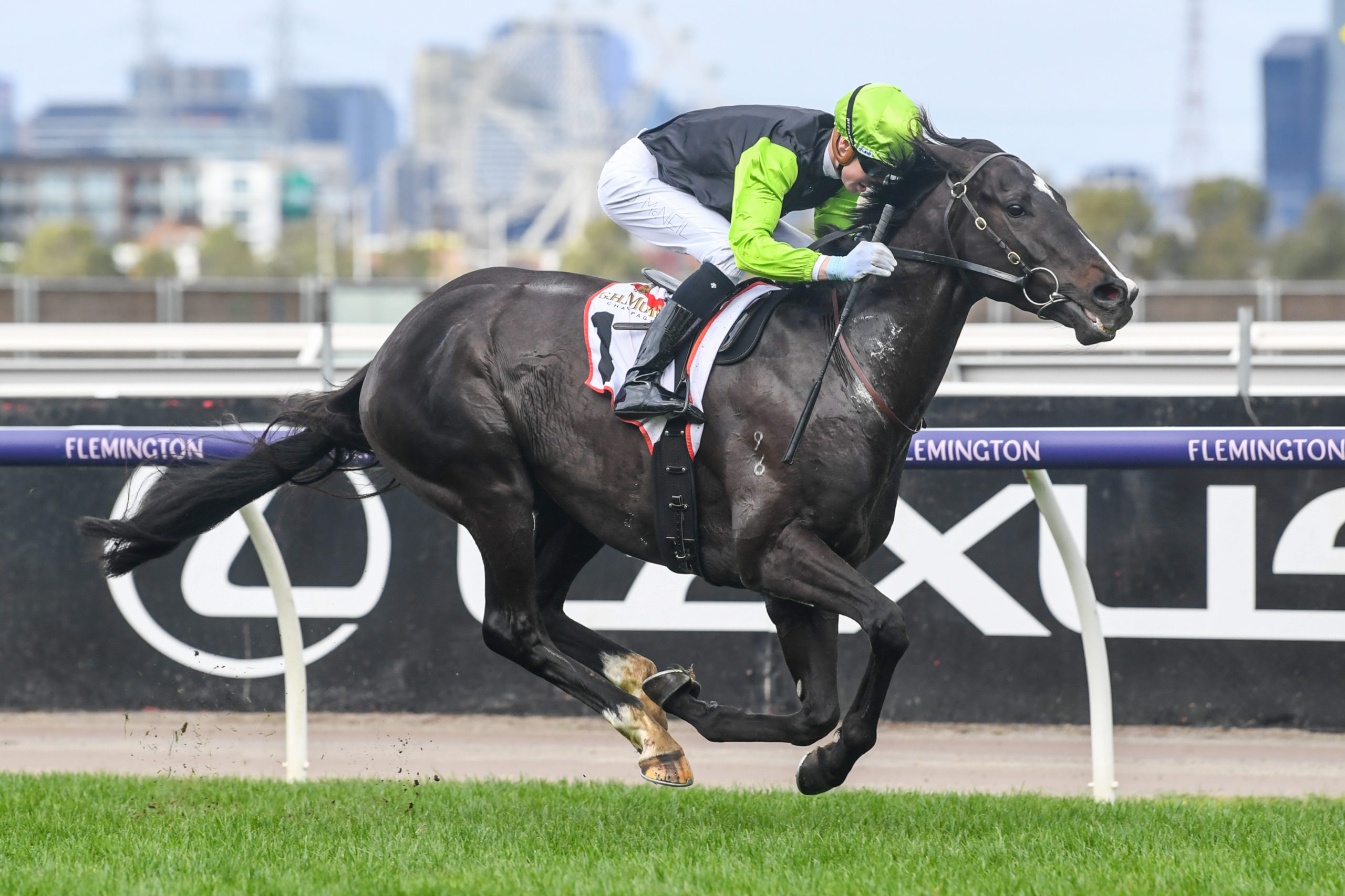 Adelaide Cup at Morphettville Tips, Race Previews and Selections – 13/3 ...