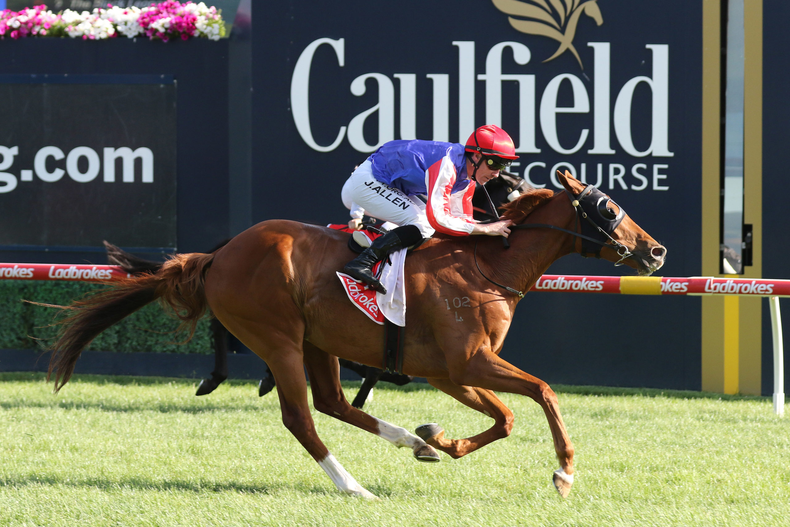 Skelm starts his 2020 Caulfield Cup, Melbourne Cup tilt | Sports News ...