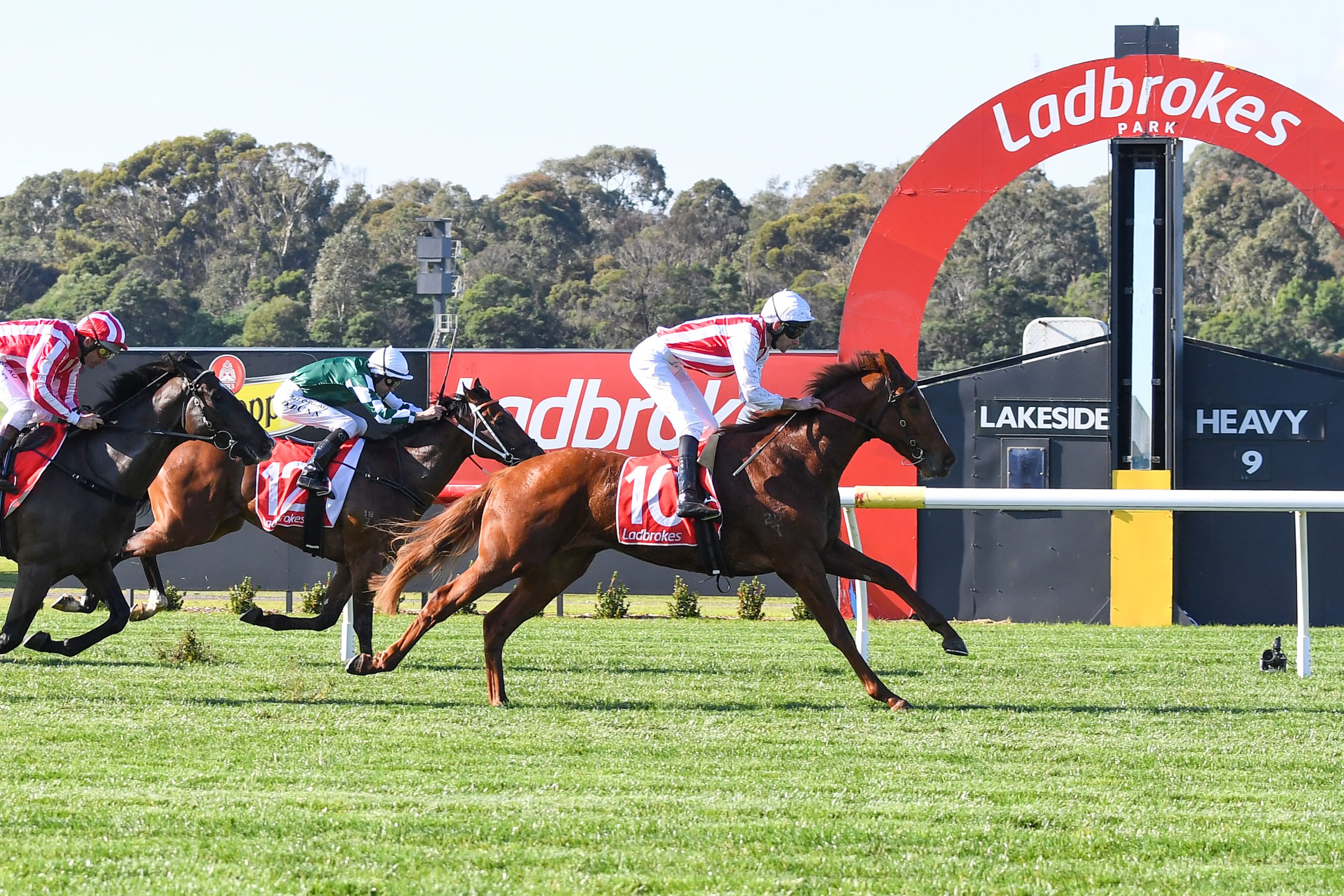 Toyetic stamps his spring credentials at Sandown | Sports News Australia