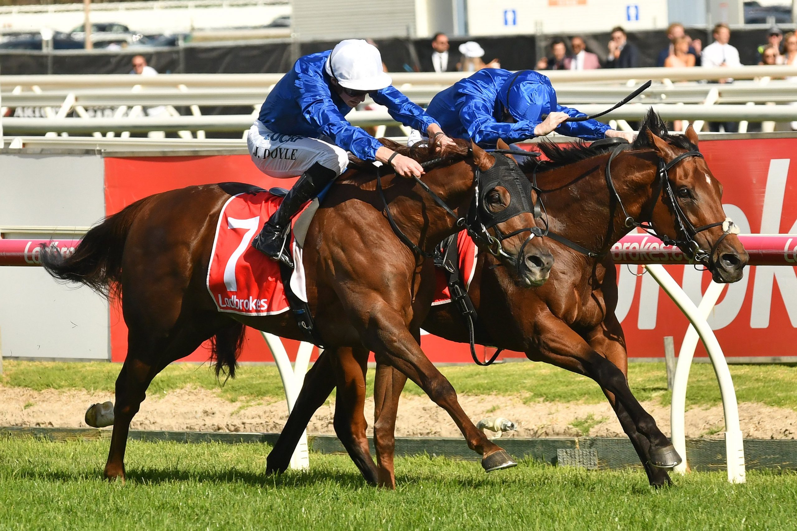 Cox Plate placegetter returns for UK campaign | Sports News Australia