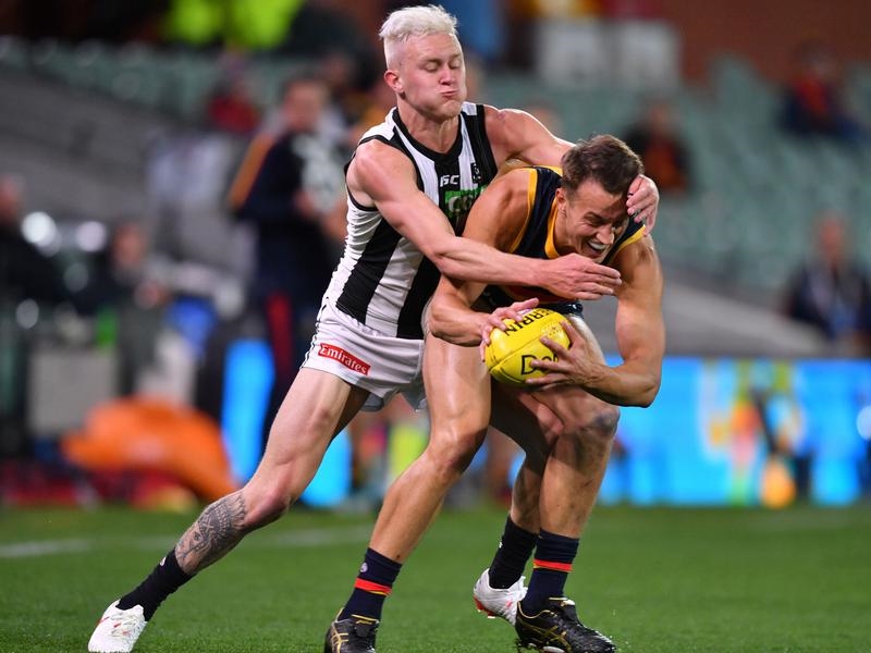 Winless Crows lose Doedee for AFL season | Sports News Australia