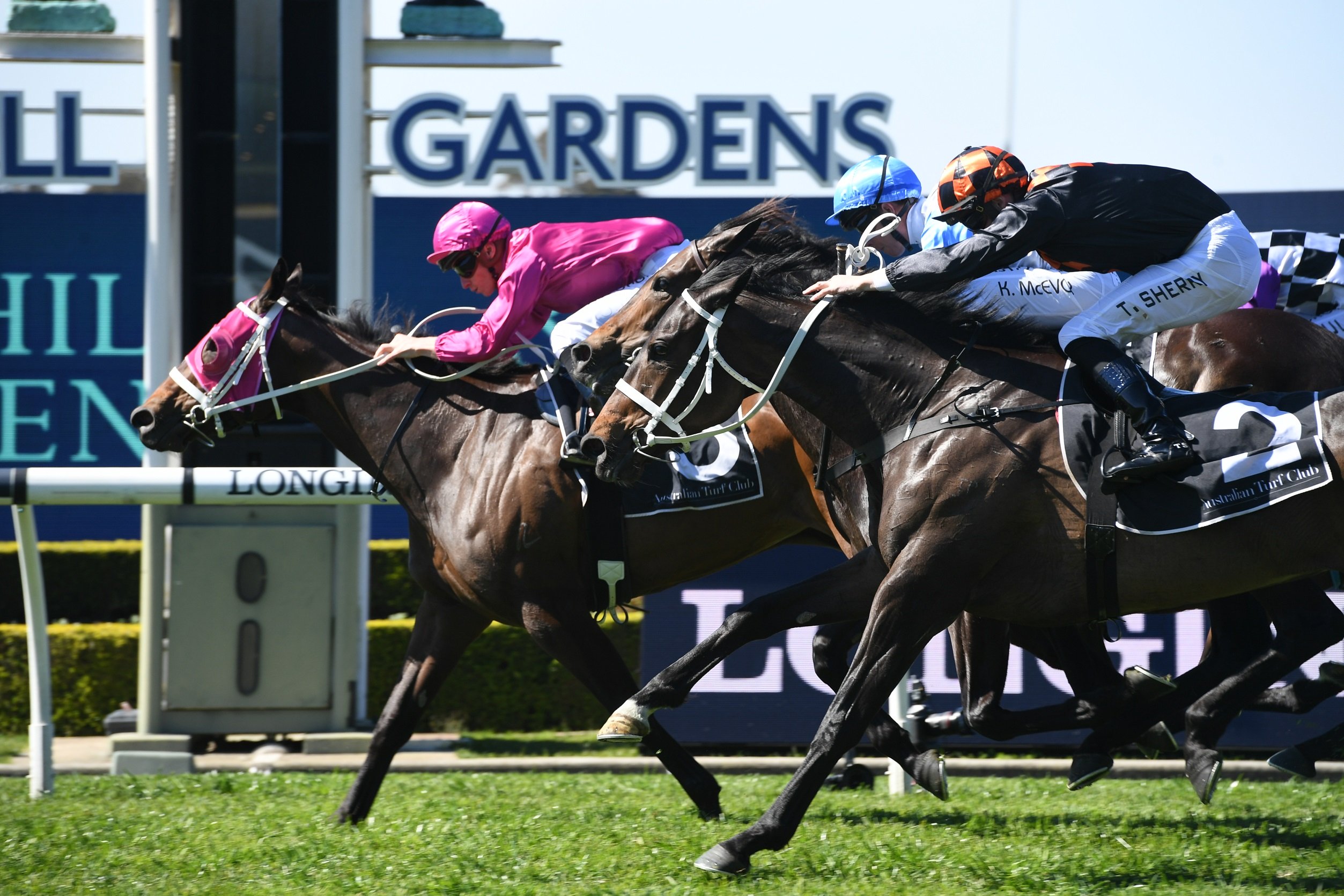 Dancing Gidget stamps claims for The Golden Eagle | Sports News Australia