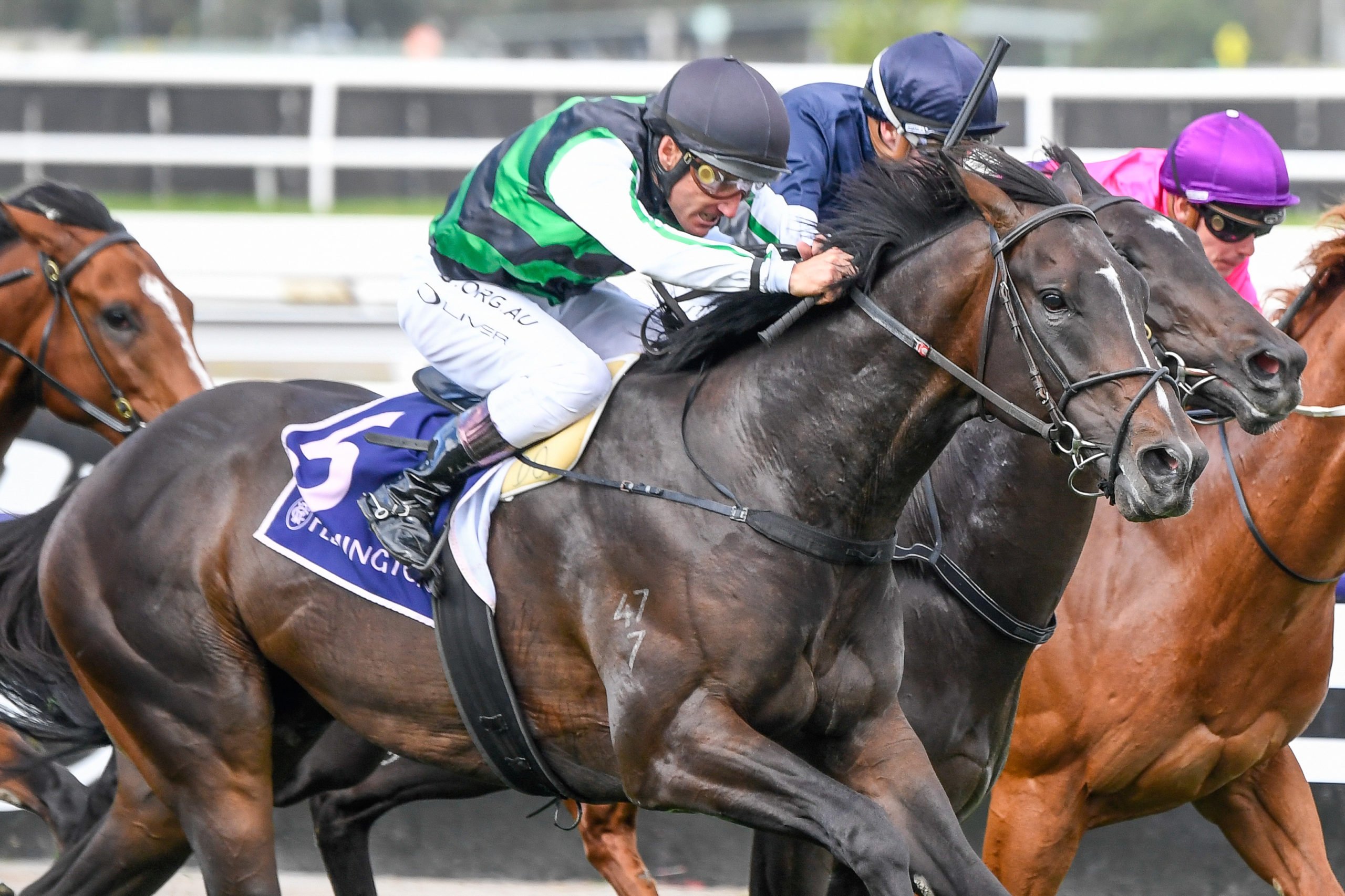 Flying Award kicks off G1 Caulfield Guineas campaign | Sports News ...