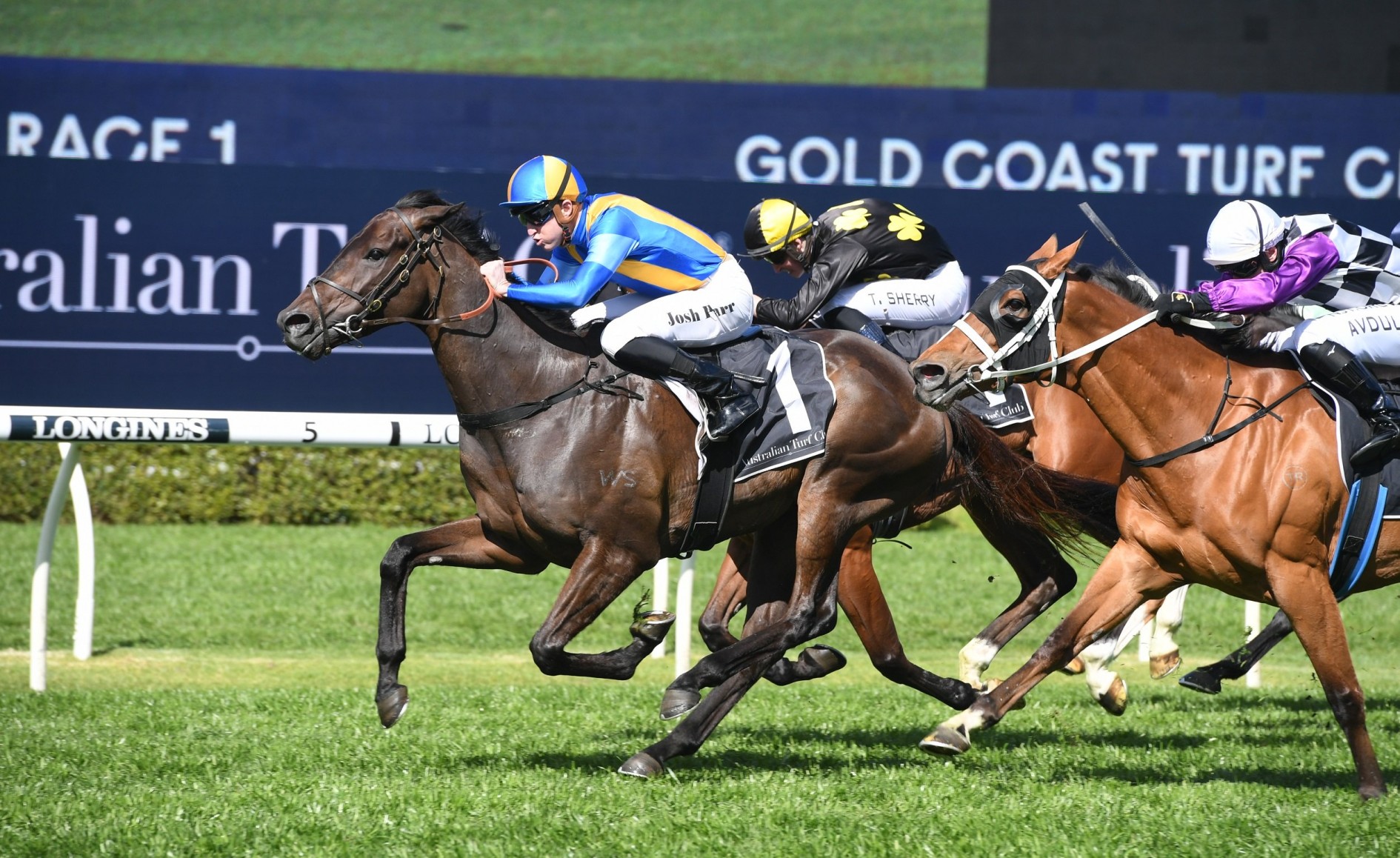 Josh Parr returns to Sydney racing with a winner | Sports News Australia