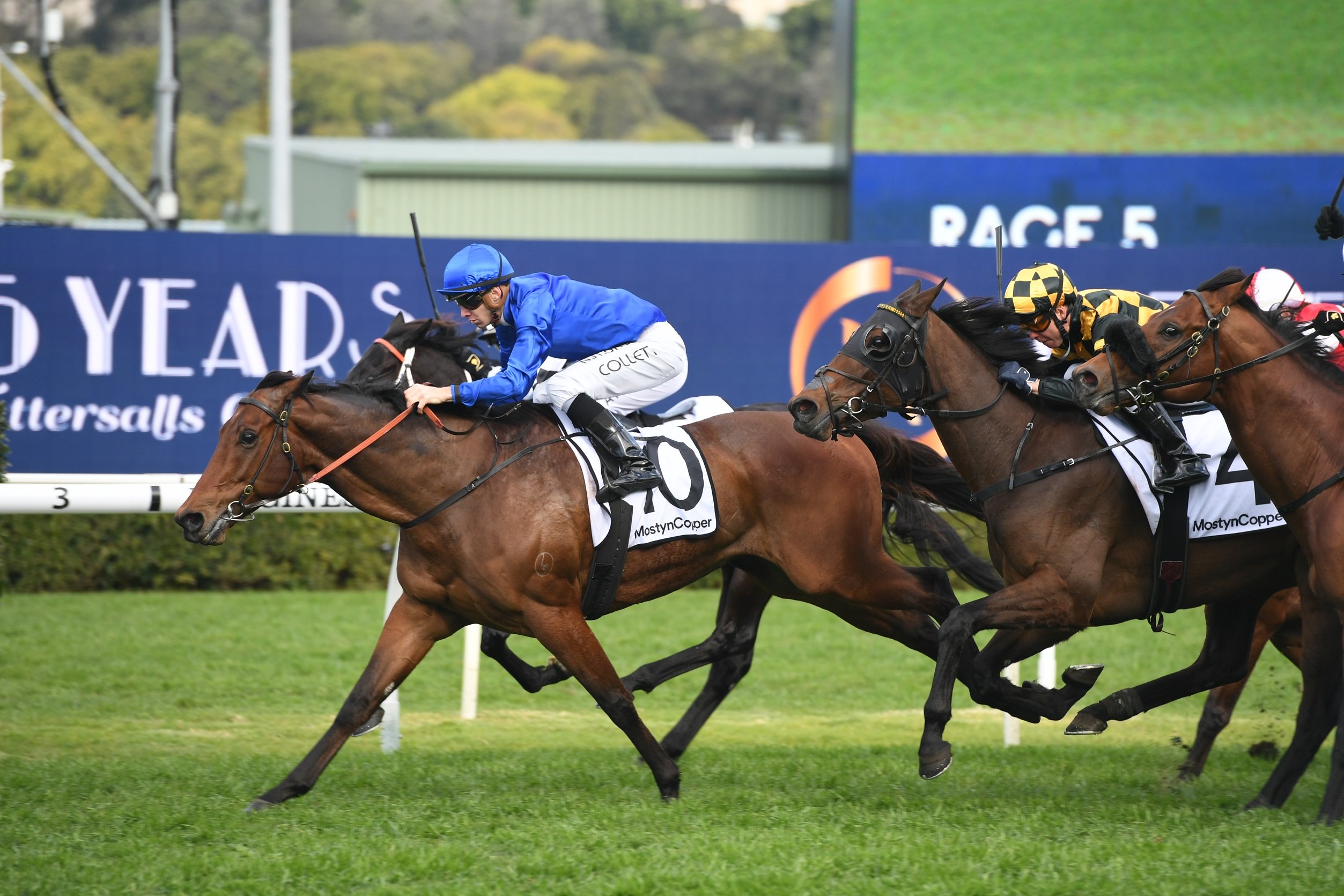 Roheryn claims high-profile scalps in Show Country Quality | Sports ...