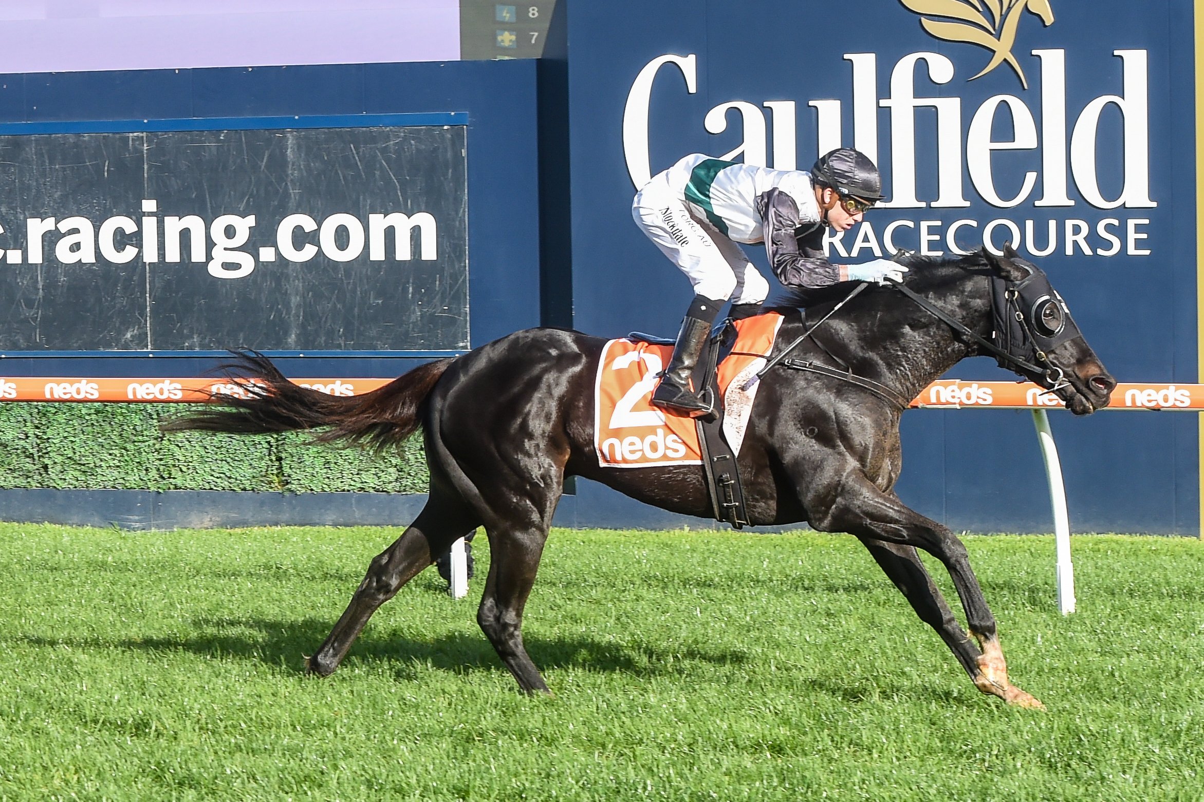 So Si Bon out to press 2020 Cox Plate claims | Sports News Australia