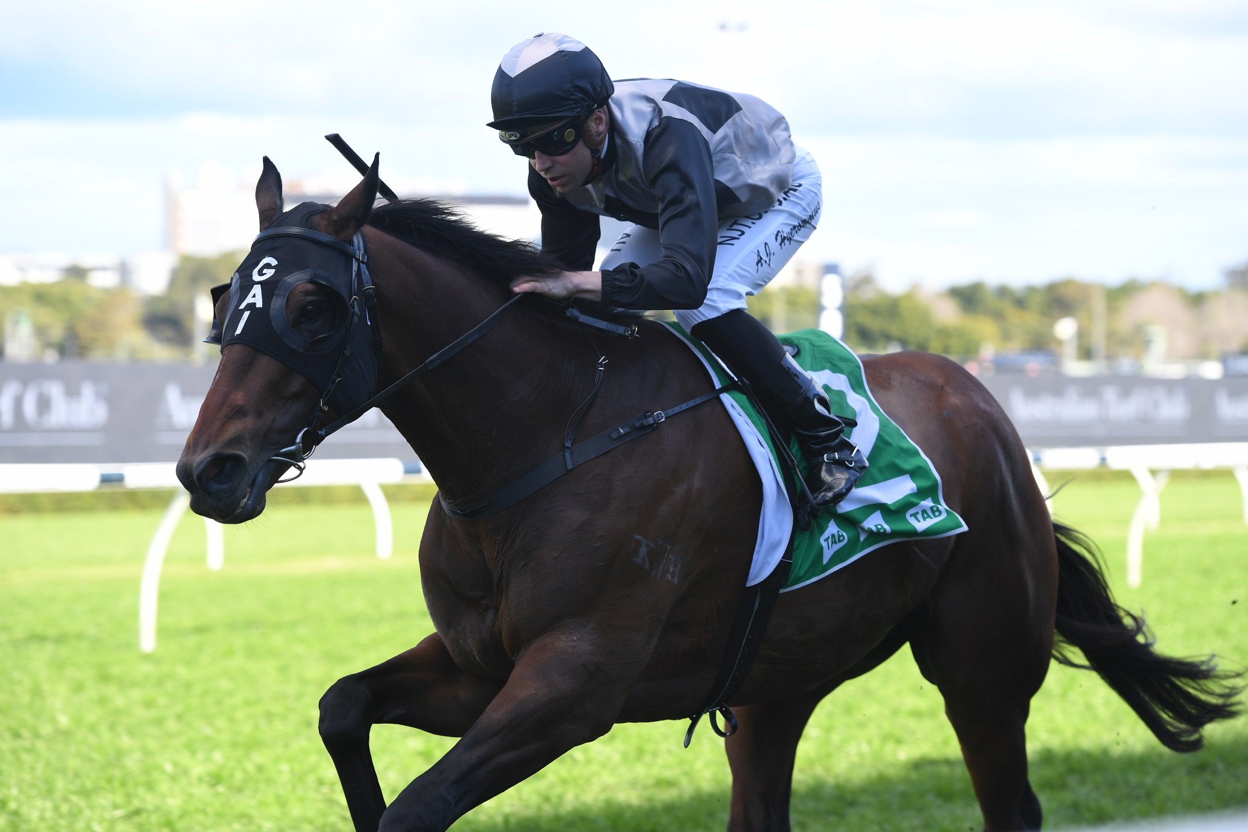 Taikomochi on tack for Premier's Cup, Wyong Cup | Sports News Australia