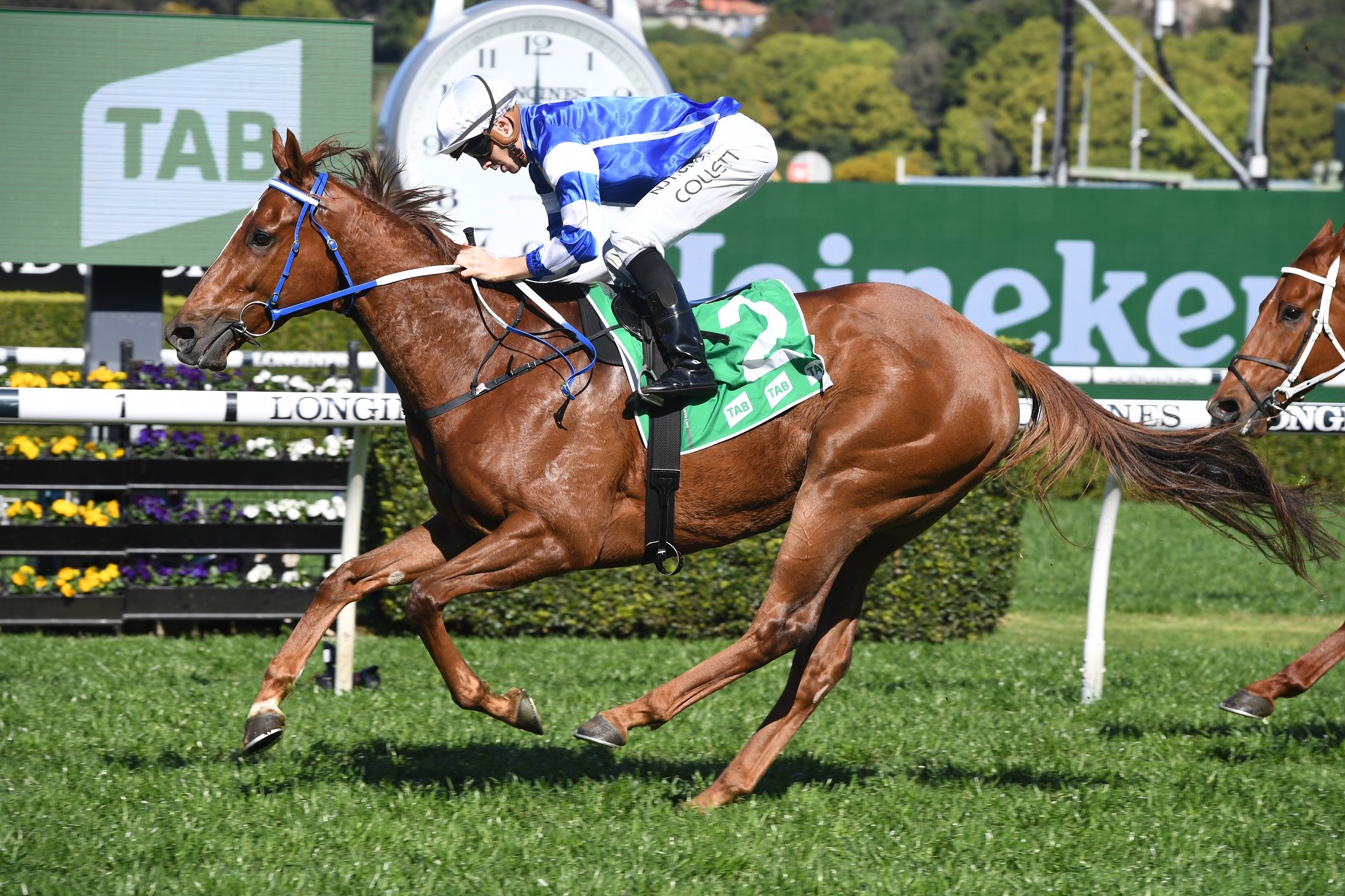 Gytrash beats Nature Strip in Concorde Stakes | Sports News Australia