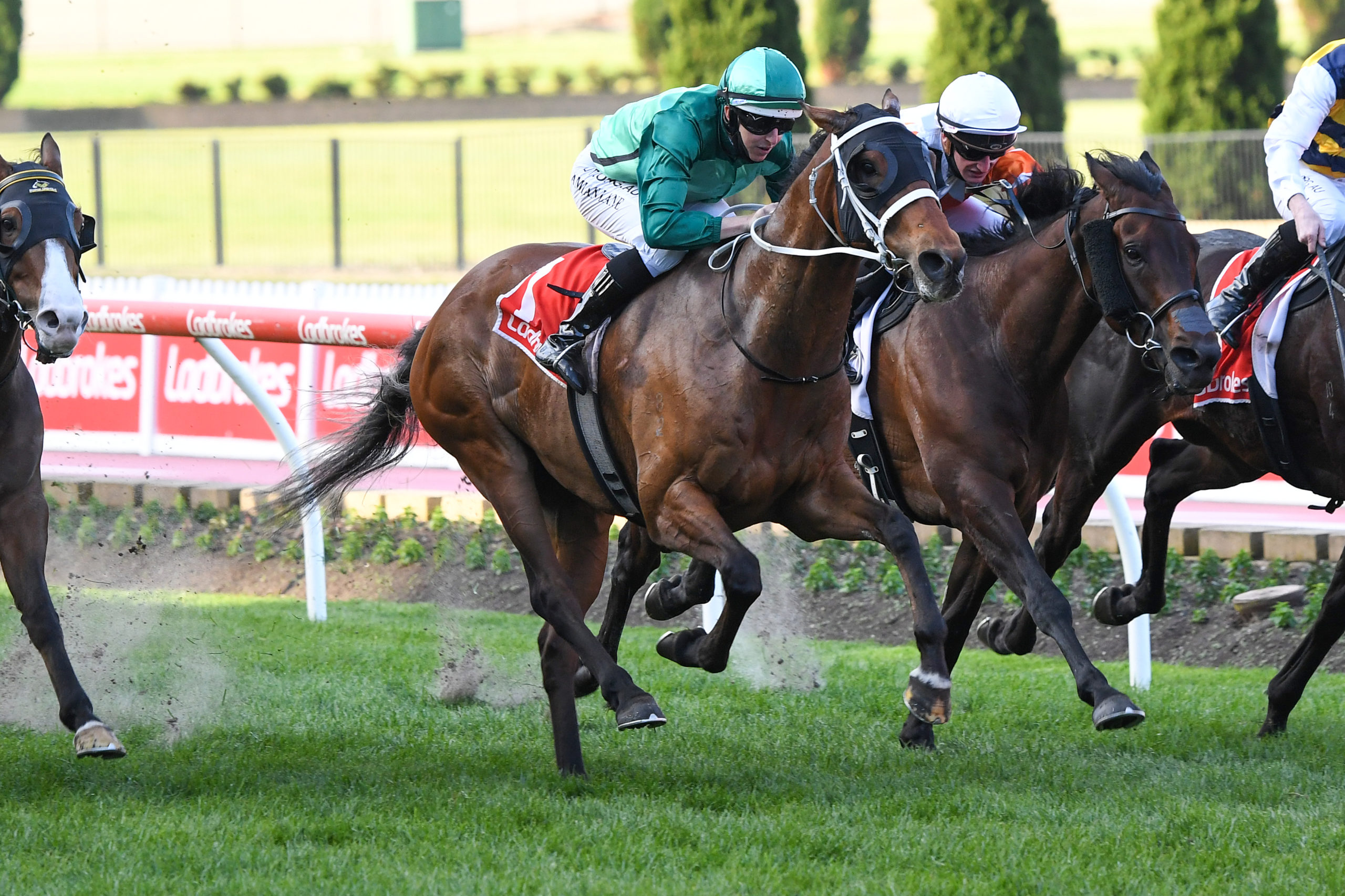 Humidor races into another Cox Plate | Sports News Australia