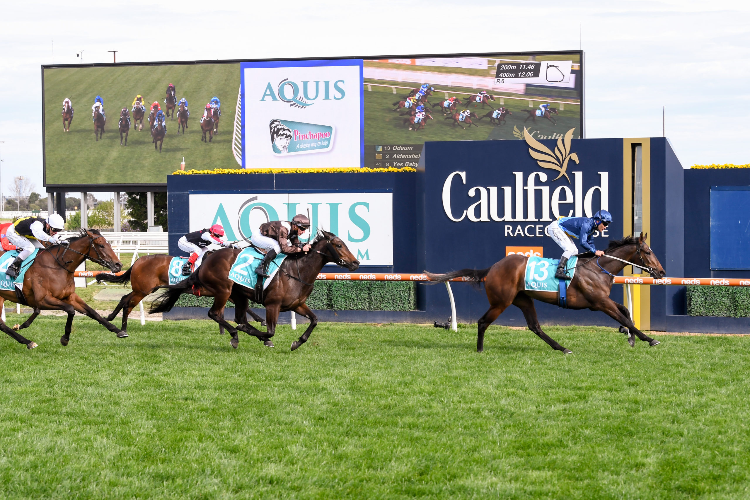 Odeum races into Thousand Guineas contention | Sports News Australia