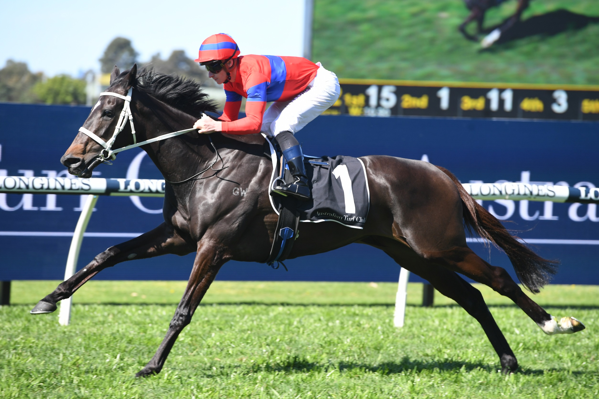 Verry Elleegant headlines the George Main Stakes field | Sports News ...