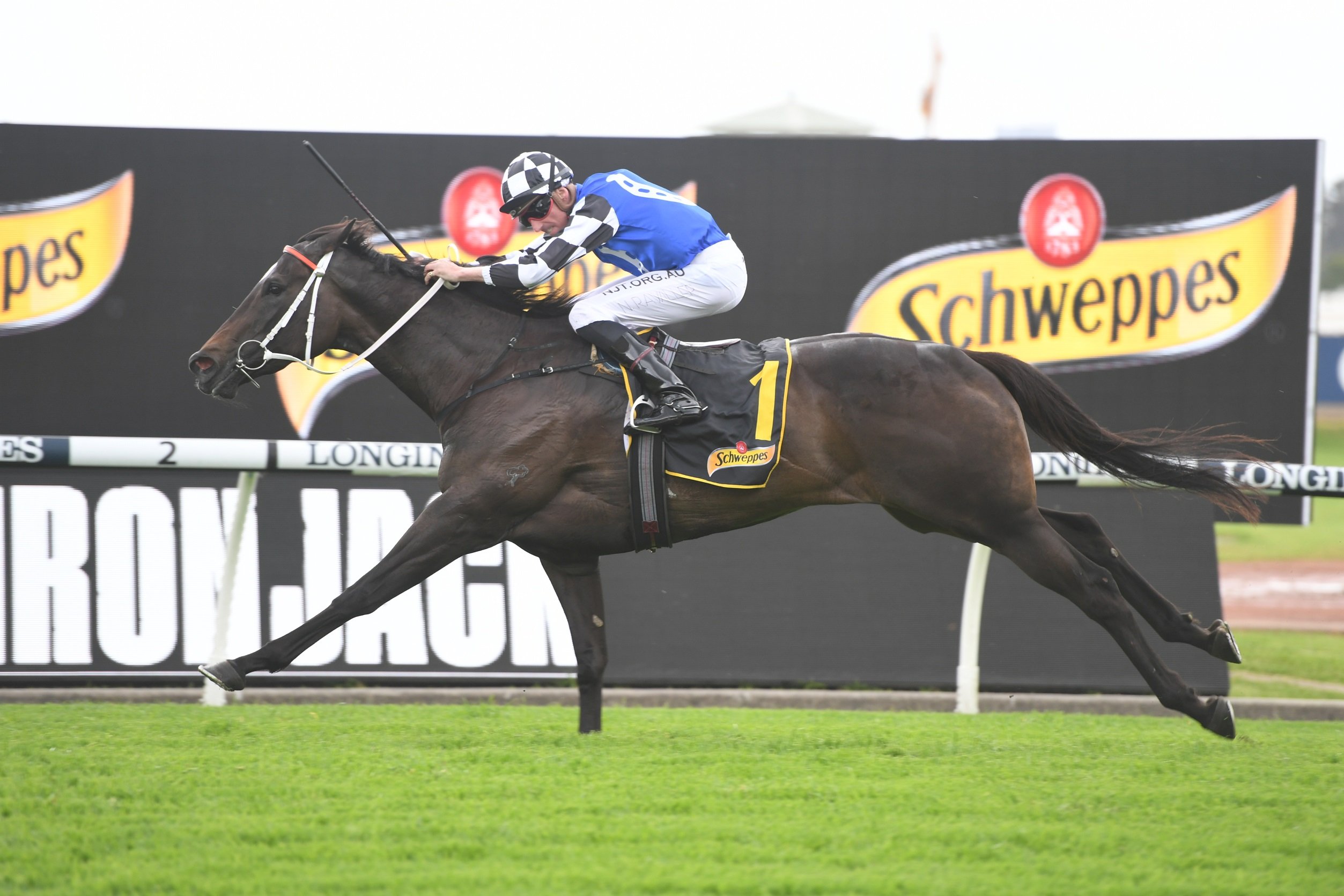 Enchanted Heart scores a consolation win | Sports News Australia