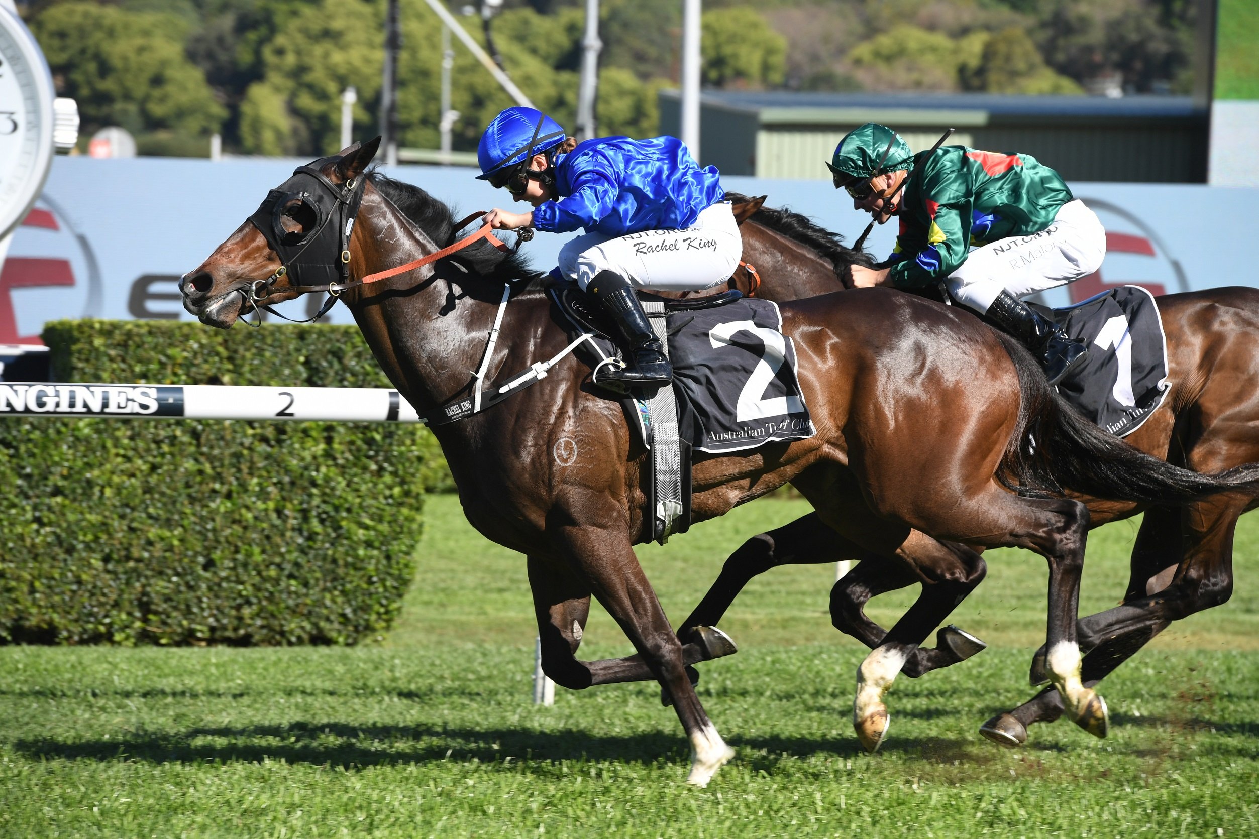 Godolphin trio set to fly in the Golden Eagle | Sports News Australia