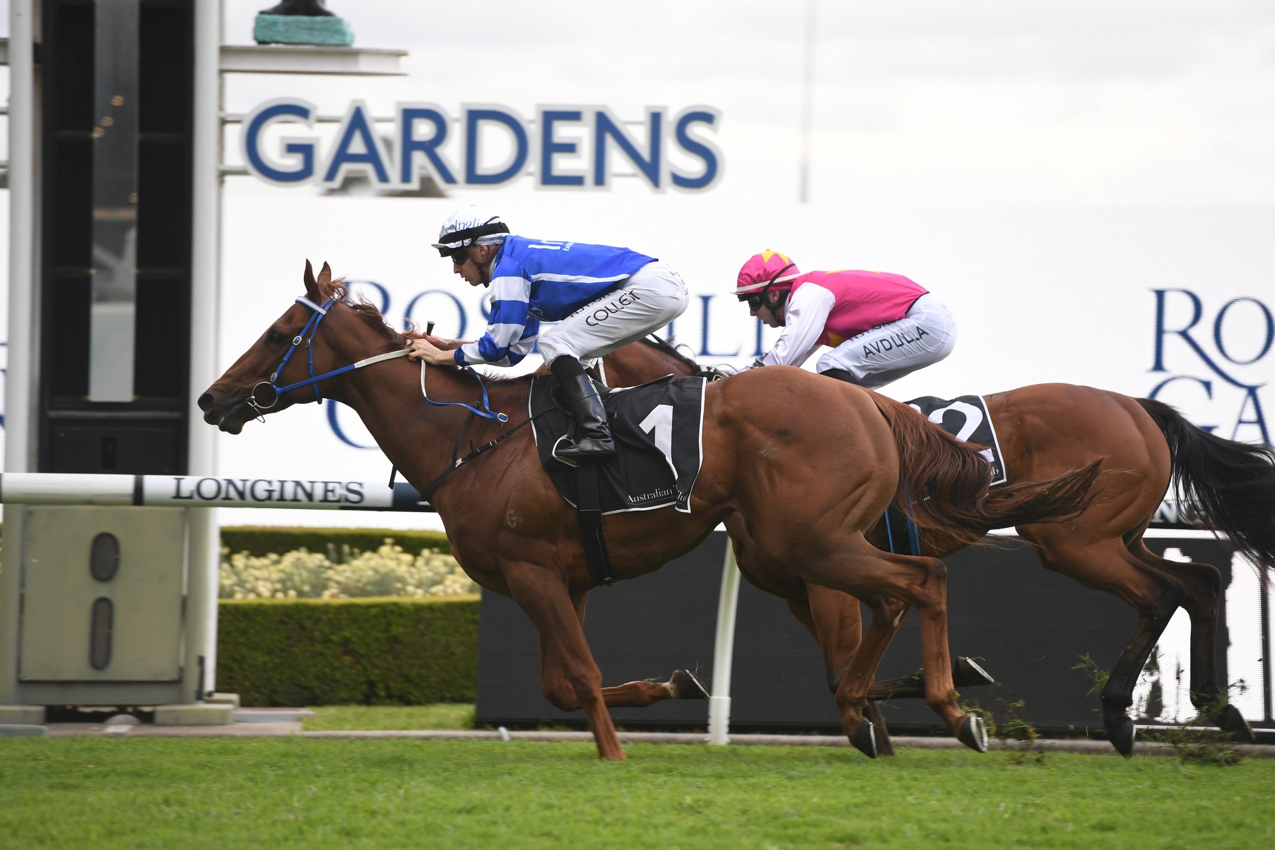 Gytrash too good in the $1 million Yes Yes Yes Stakes | Sports News ...