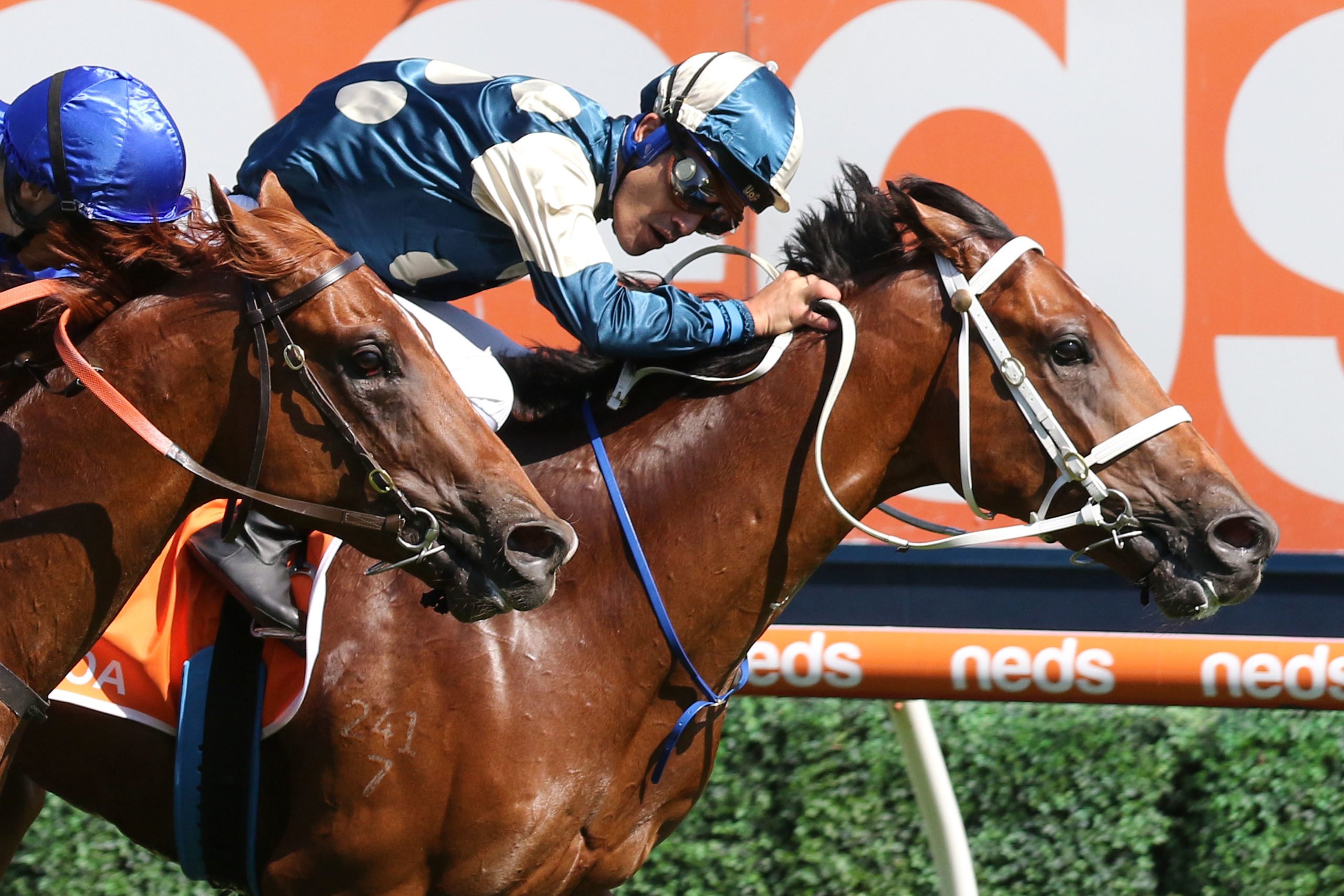 Tagaloa drawn to perfection in the Caulfield Guineas field | Sports ...