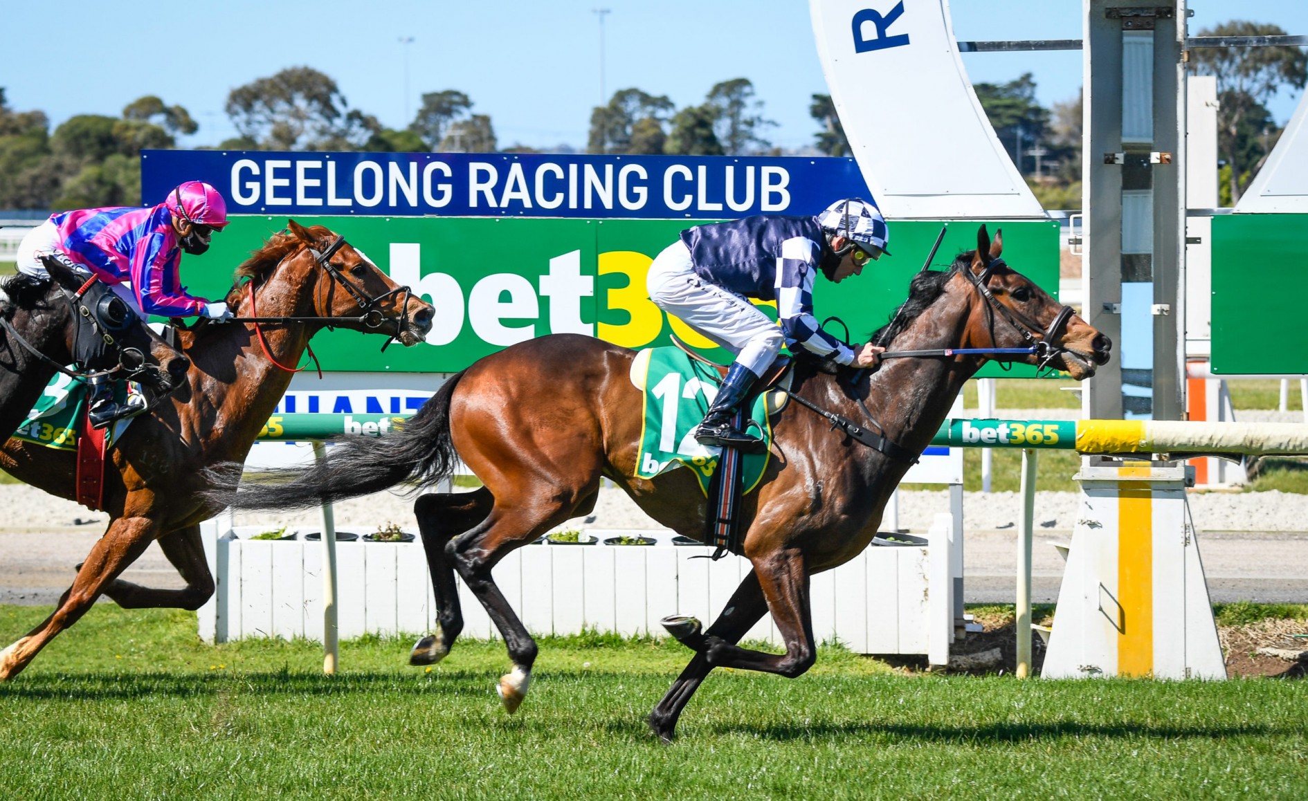 Victoria Derby Tips, Field Preview and Selections – 2020 | Sports News ...