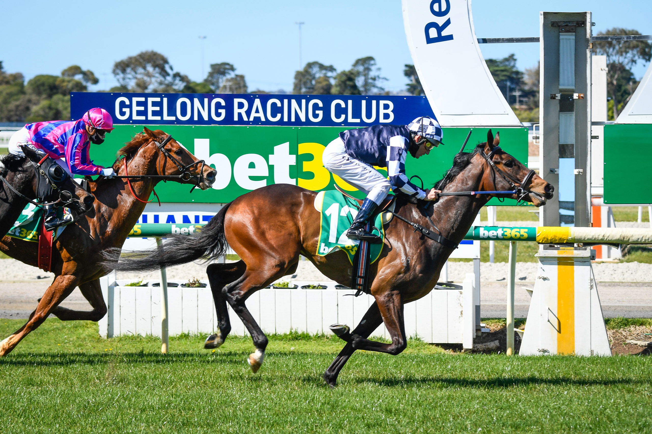 Victoria Derby Tips, Field Preview and Selections – 2020 | Sports News ...