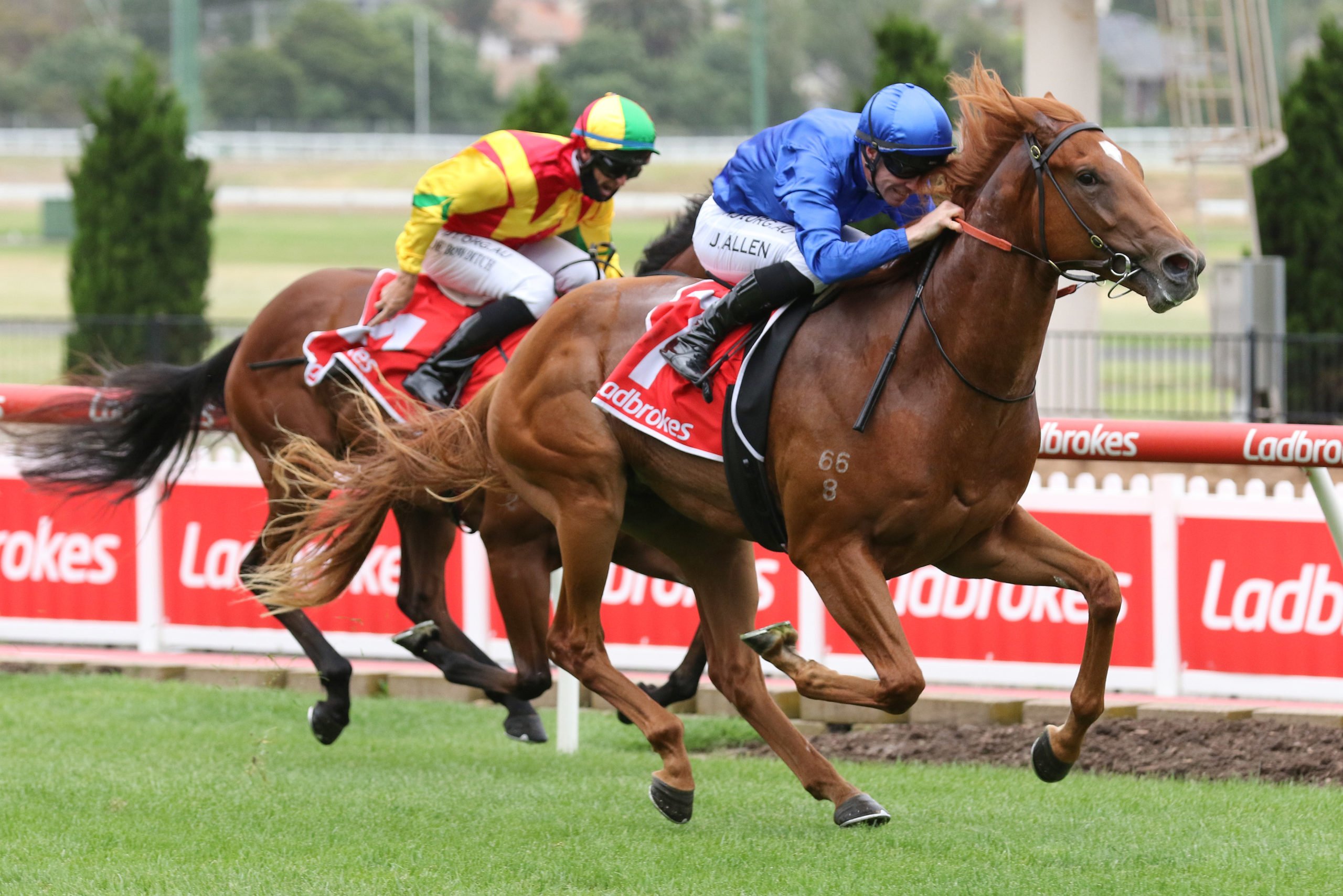 Paulele races into Blue Diamond Stakes contention | Sports News Australia