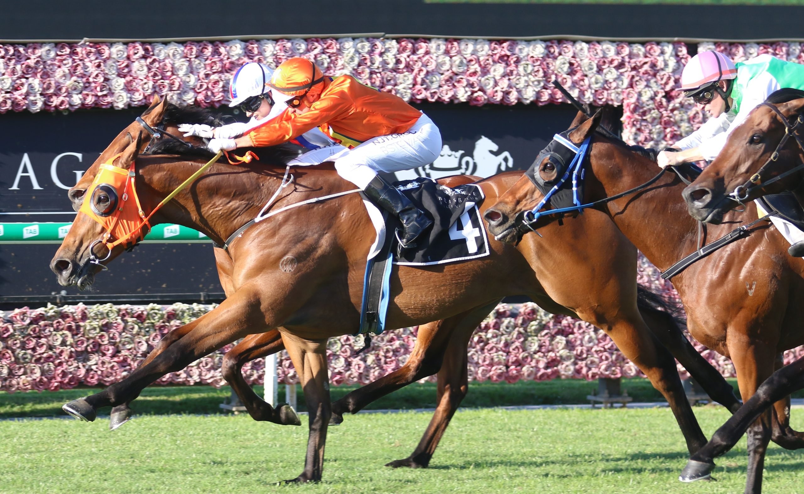 The Harrovian to step out for new trainers in Recognition Stakes ...