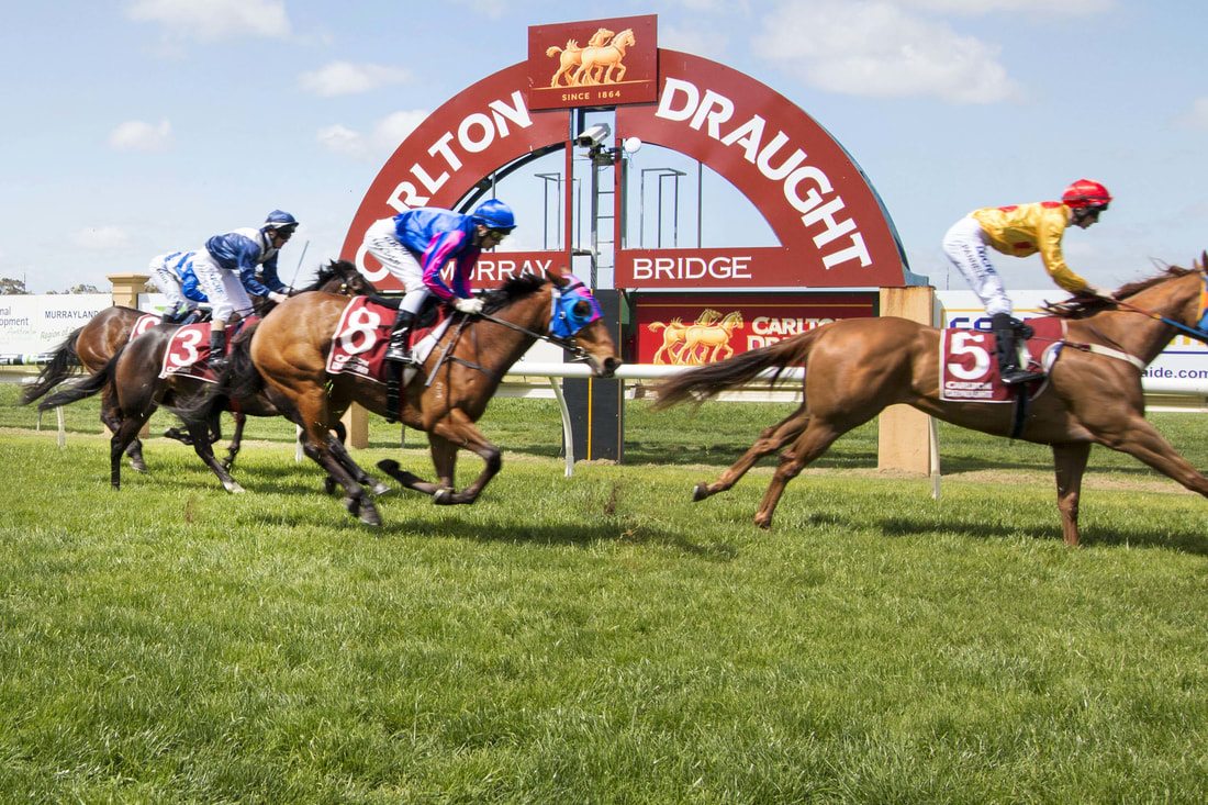 Murray Bridge Tips and Best Bets – Murray Bridge Races 3/7/2021 ...